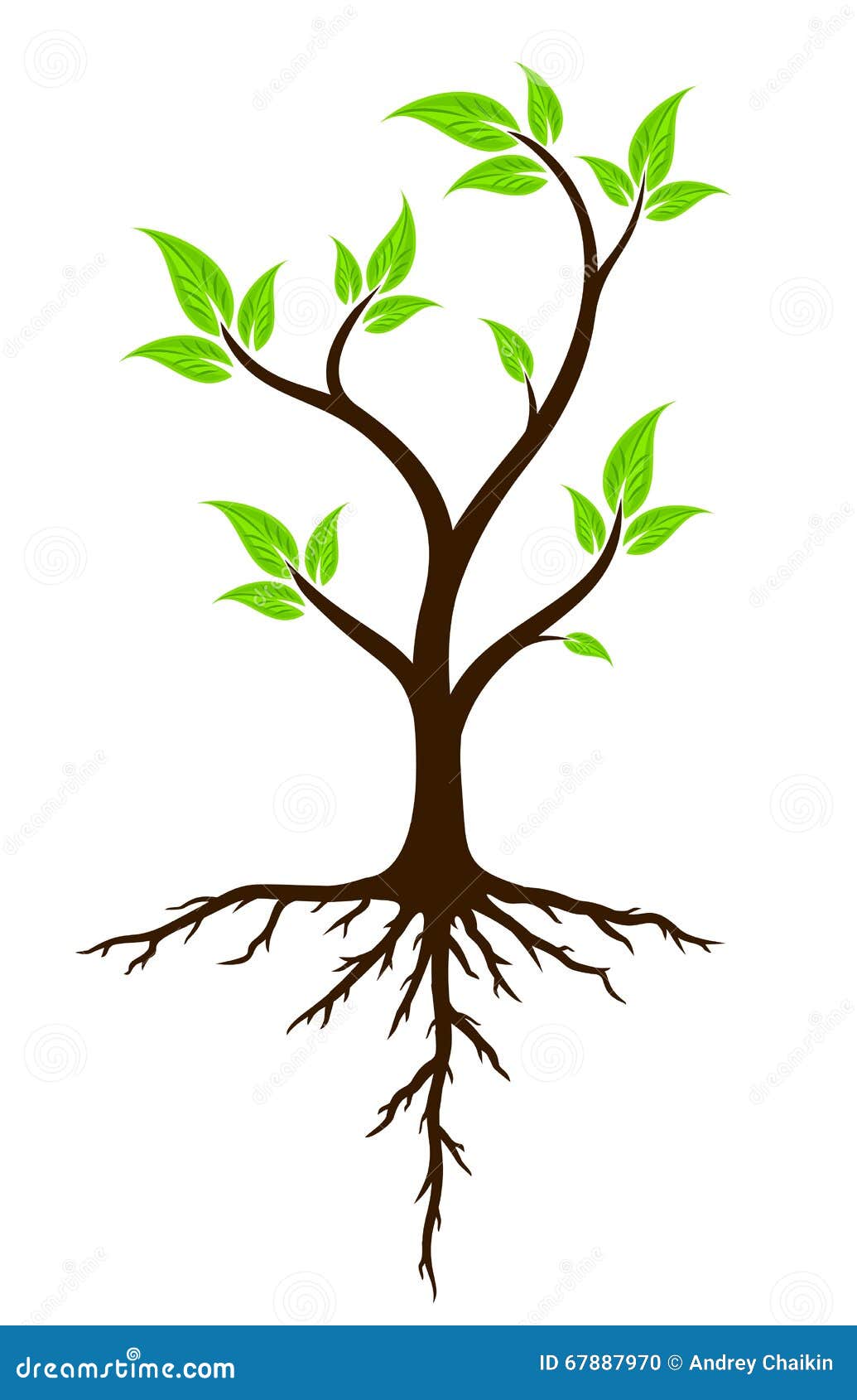 Green tree with roots. stock vector. Illustration of root - 67887970