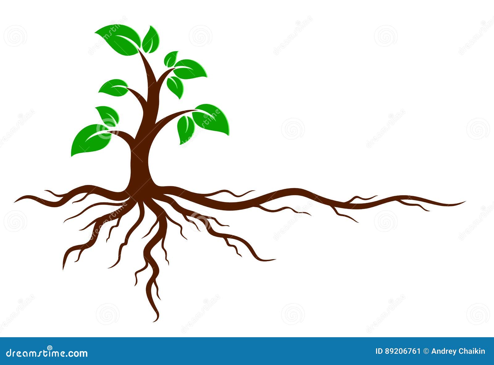Green Tree With Leaves And Big Roots. Vector Outline Illustration ...