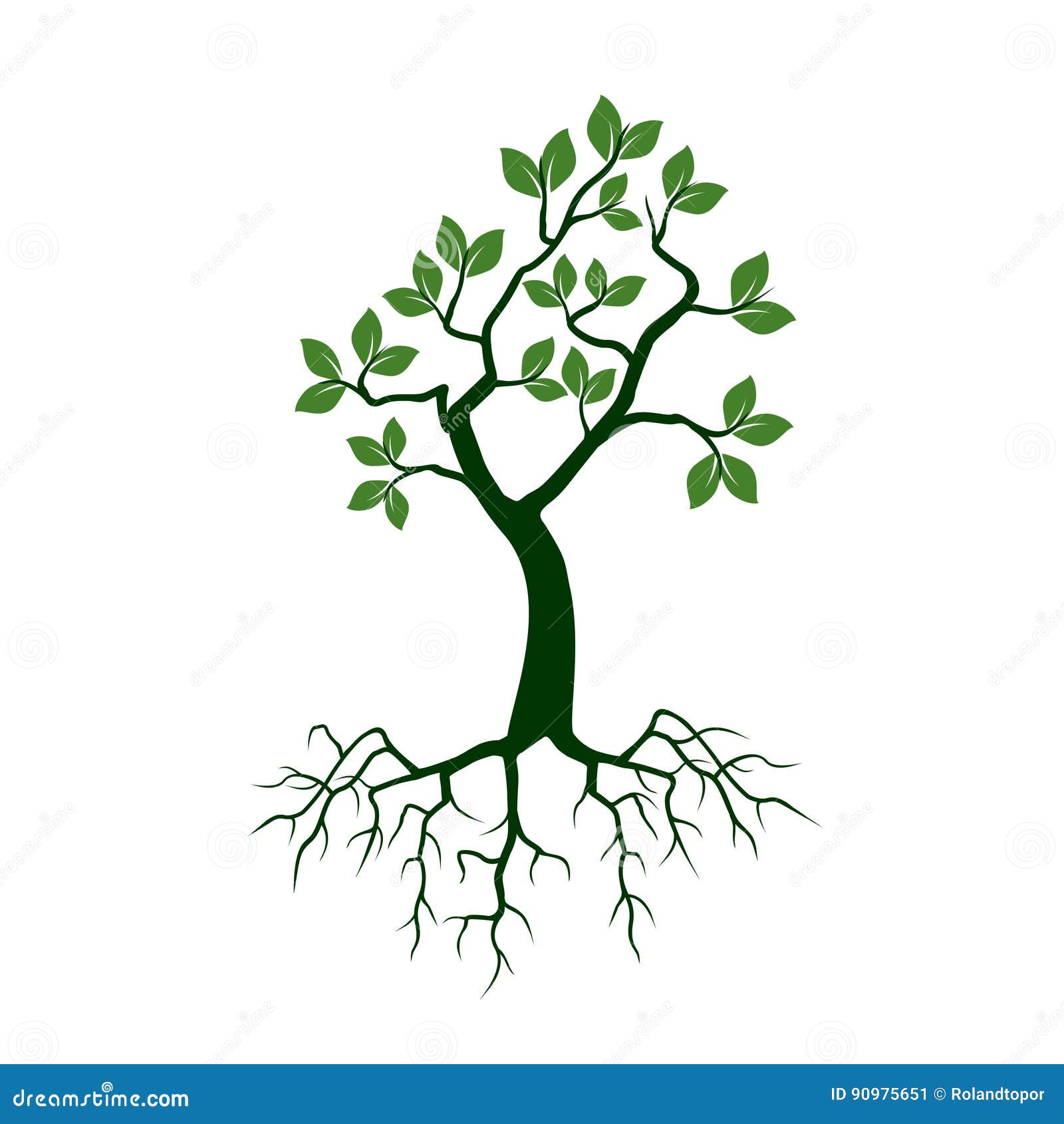 Green Tree with Roots. stock vector. Illustration of roots - 90975651