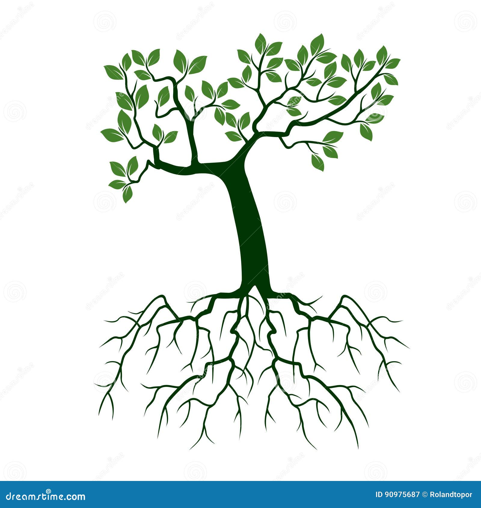 Green Tree with Roots. stock vector. Illustration of beautiful - 90975687