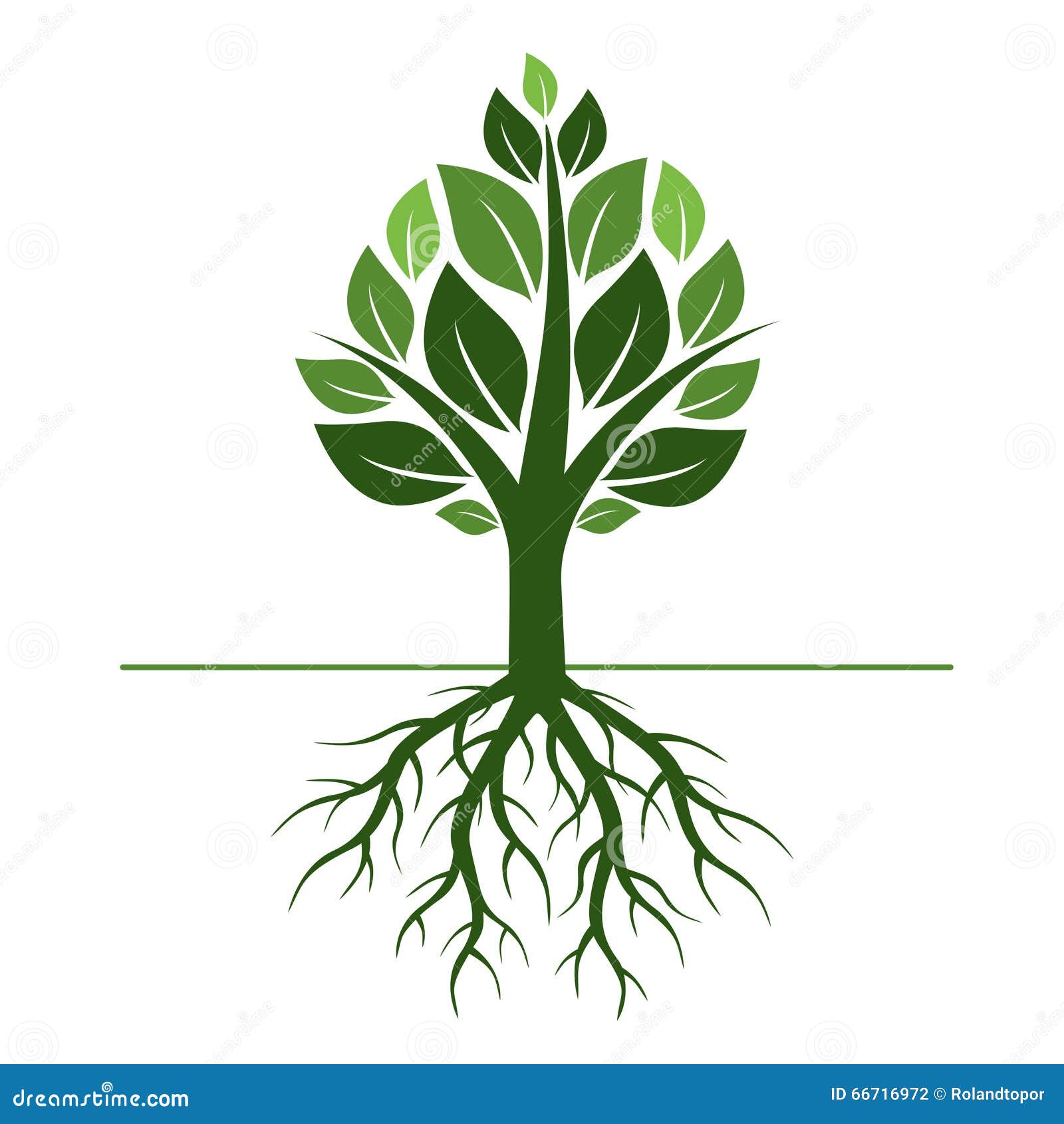 Green Tree and Roots. Vector Illustration. Stock Illustration ...