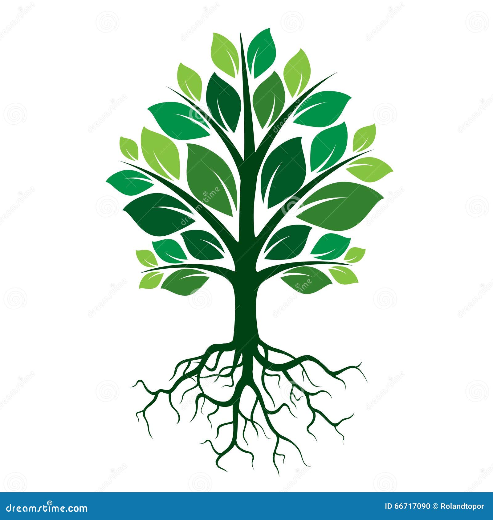 Green Tree and Roots. Vector Illustration. Stock Illustration ...