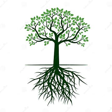 Green Tree and Roots. Vector Illustration Stock Illustration ...