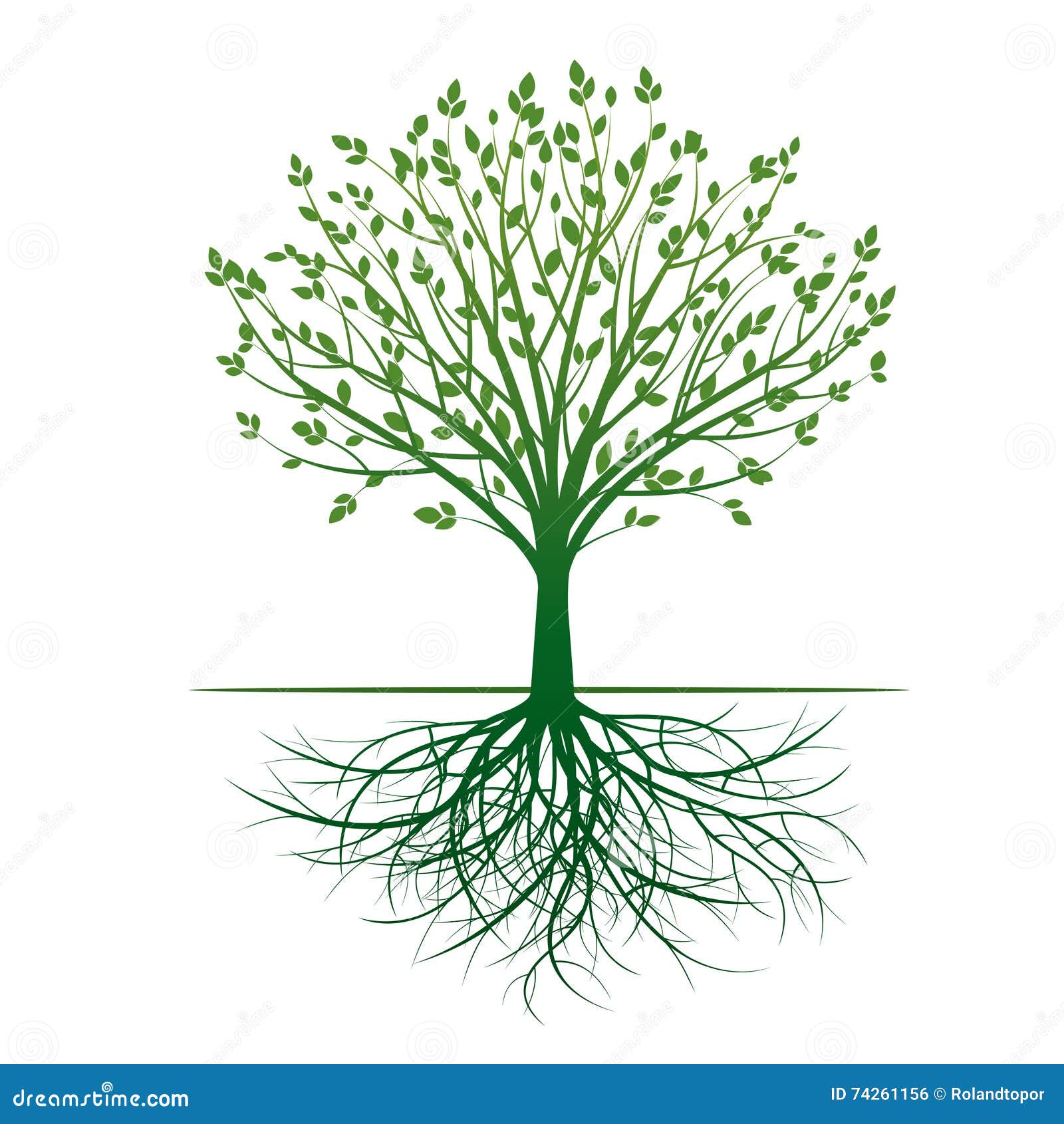 Green Tree and Roots. Vector Illustration. Stock Illustration ...