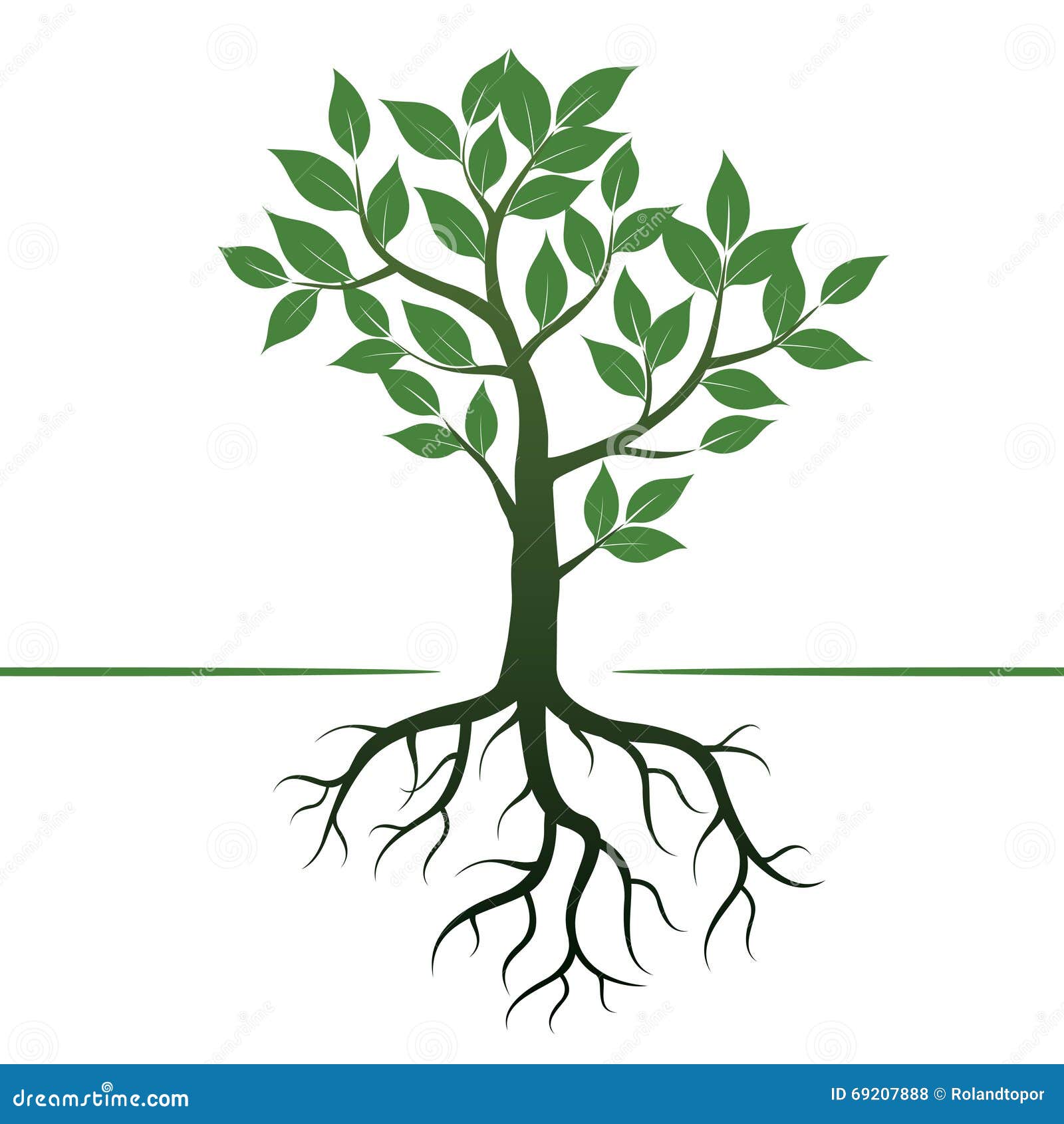 Green Tree and Roots. Vector Illustration Stock Illustration ...
