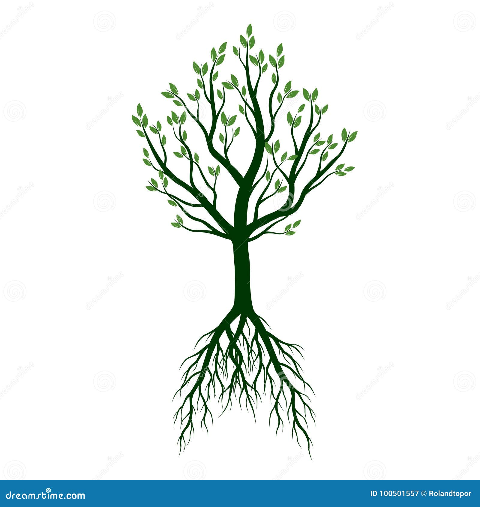 Green Tree with Roots. Vector Illustration. Stock Vector - Illustration ...