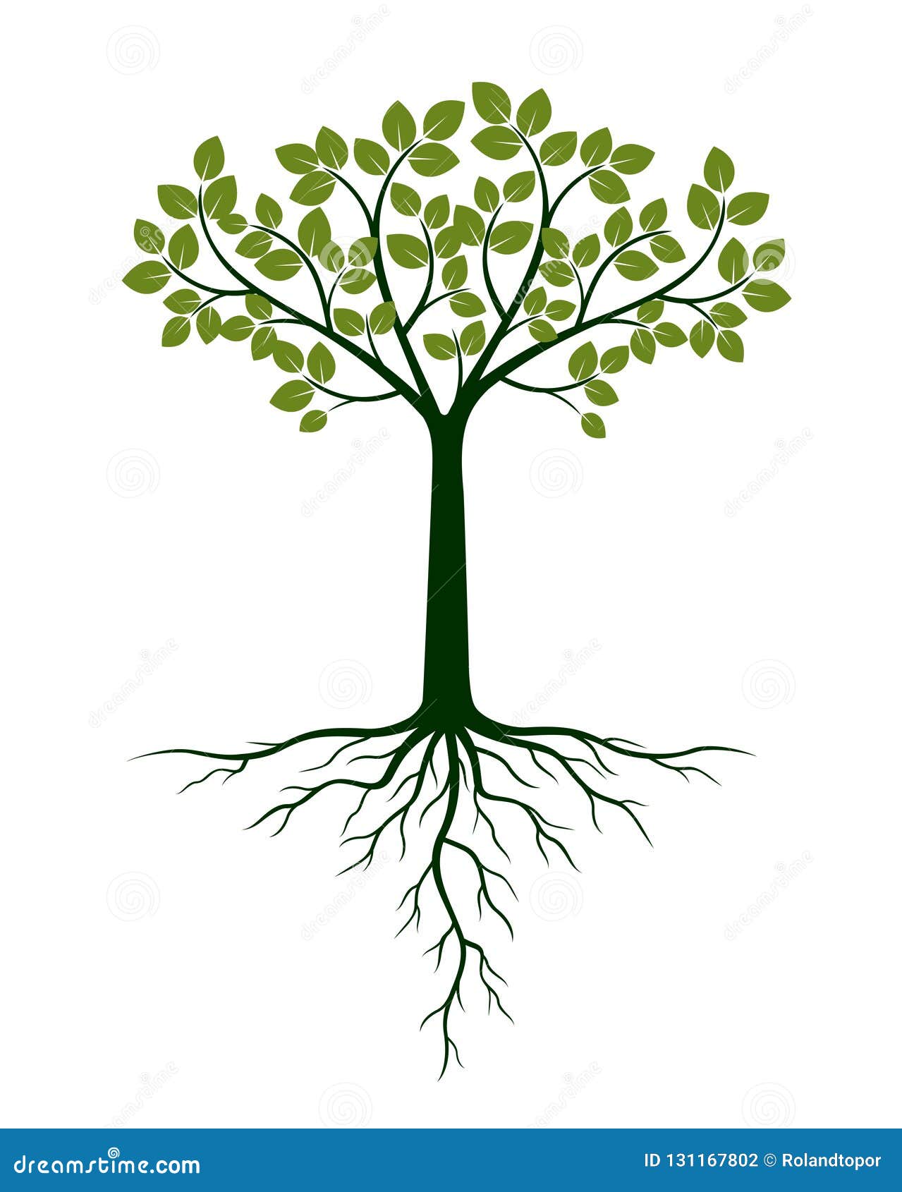 Green Tree and Roots. Vector Illustration Stock Vector - Illustration ...