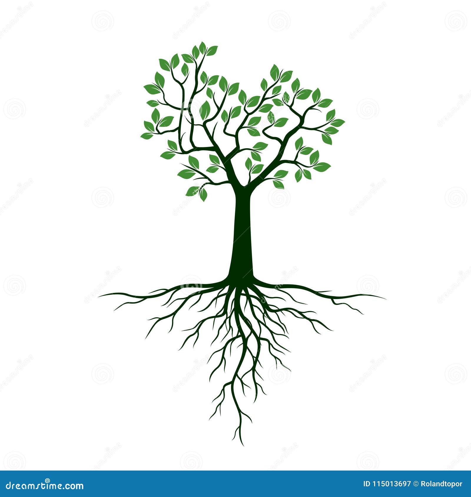 Green Tree with Roots. Vector Illustration. Stock Illustration ...