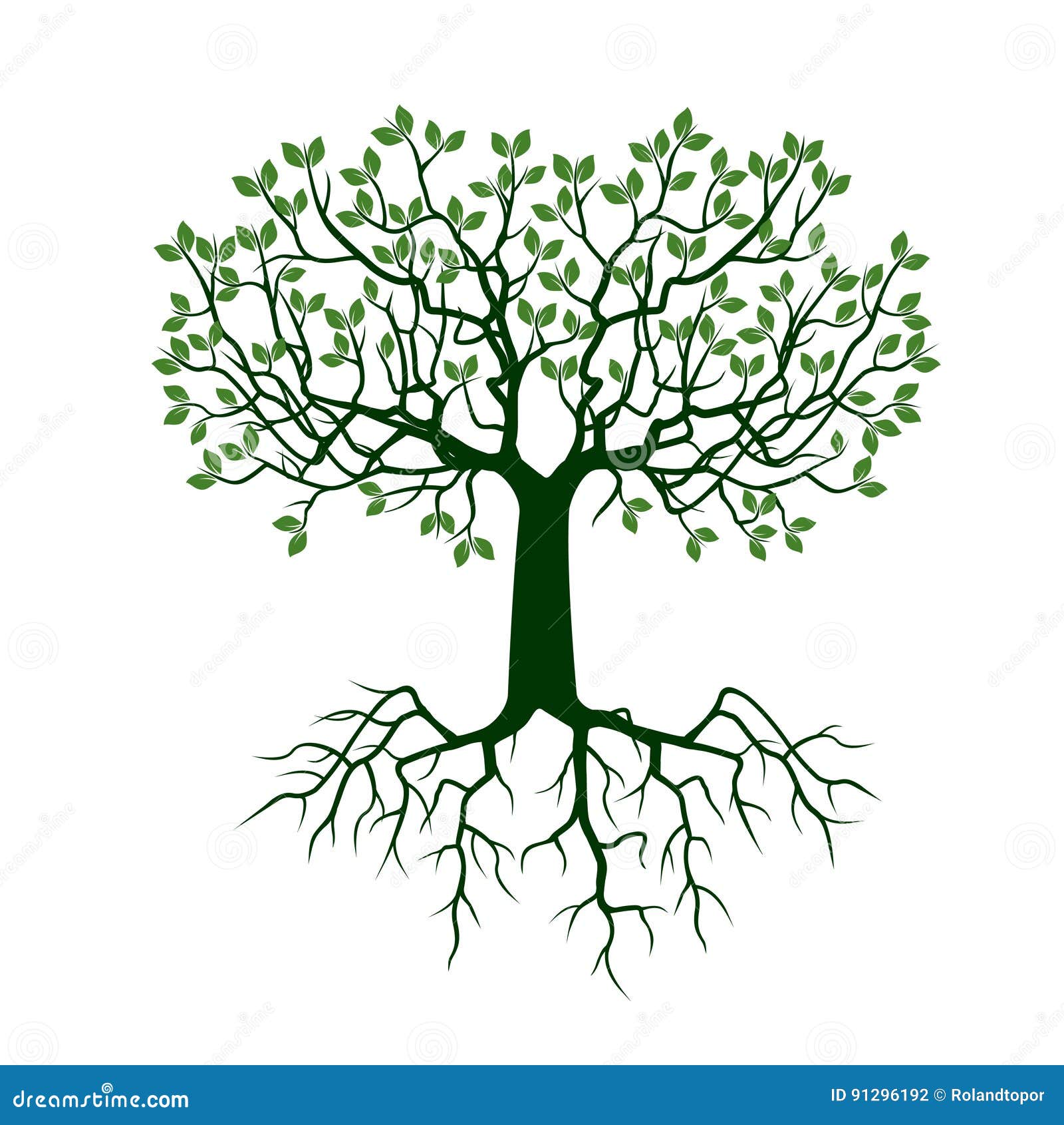 Green Tree with Roots. Vector Illustration Stock Illustration ...