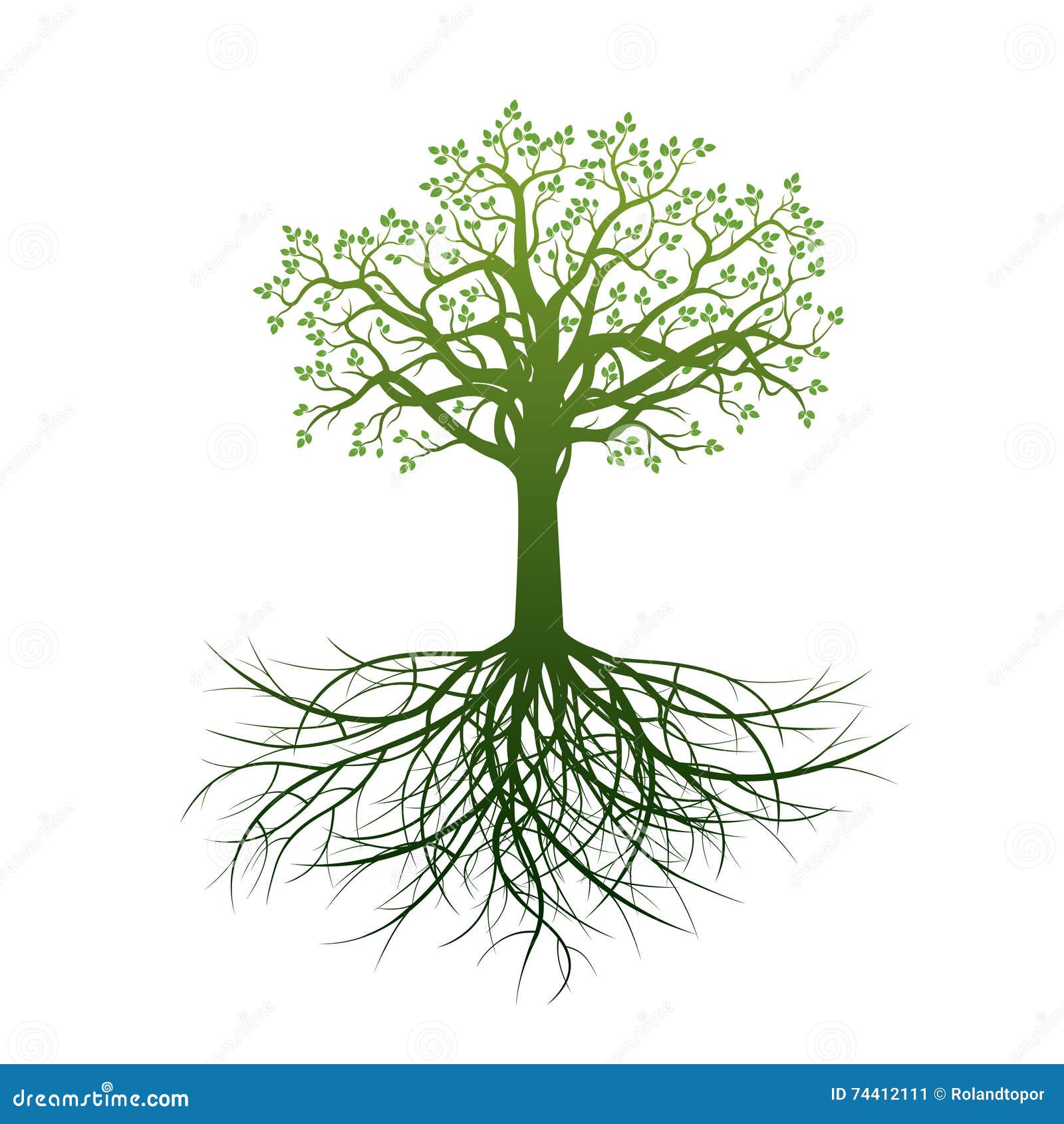 Green Tree and Roots. Vector Illustration Stock Illustration ...