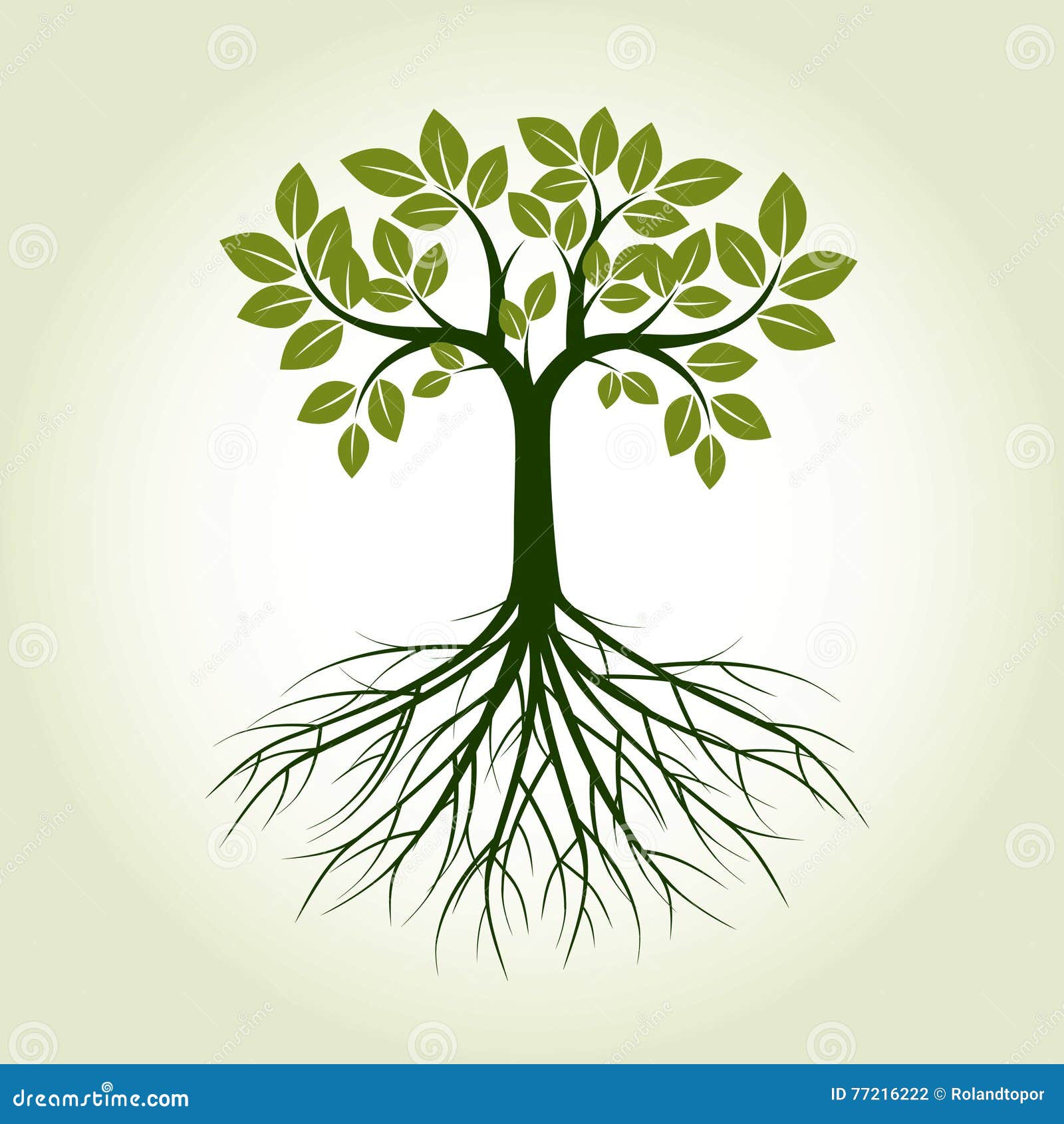 Green Tree and Roots. Vector Illustration Stock Vector - Illustration ...