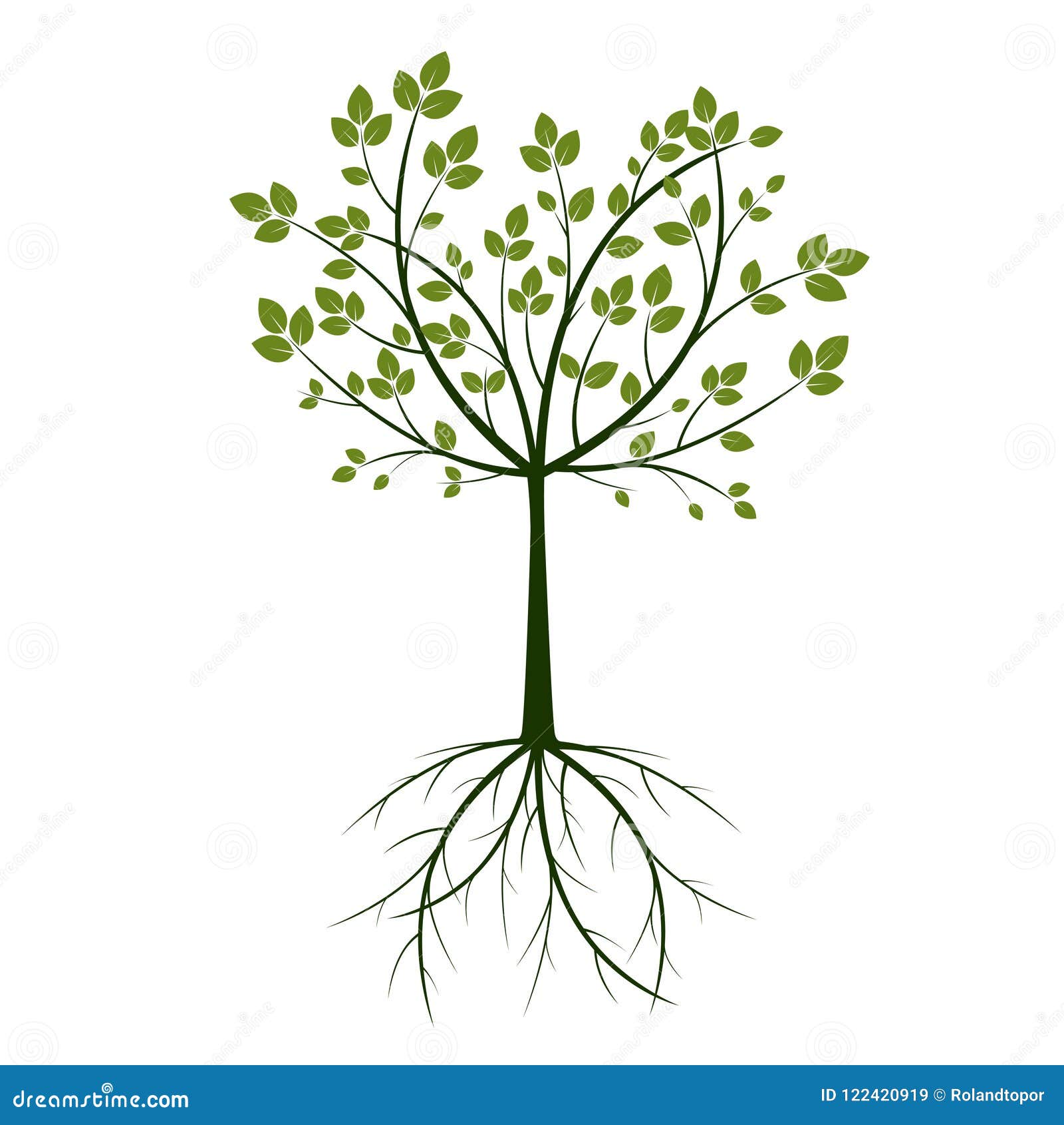 Green Tree and Roots. Vector Illustration Stock Vector - Illustration ...