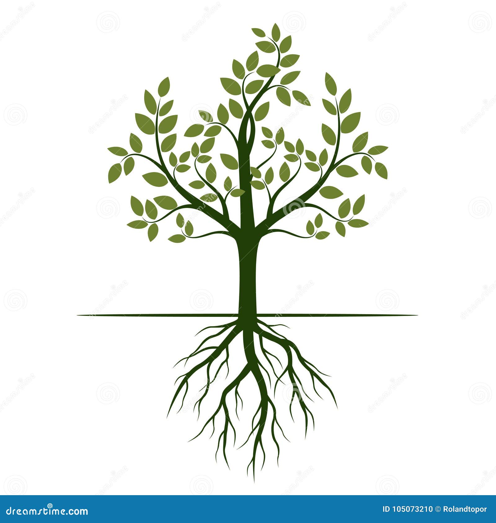 Green Tree with Roots. Vector Illustration Stock Vector - Illustration ...