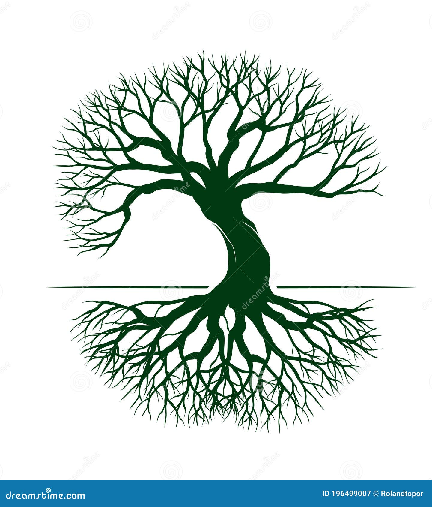 Green Tree with Roots. Vector Outline Illustration Stock Vector ...