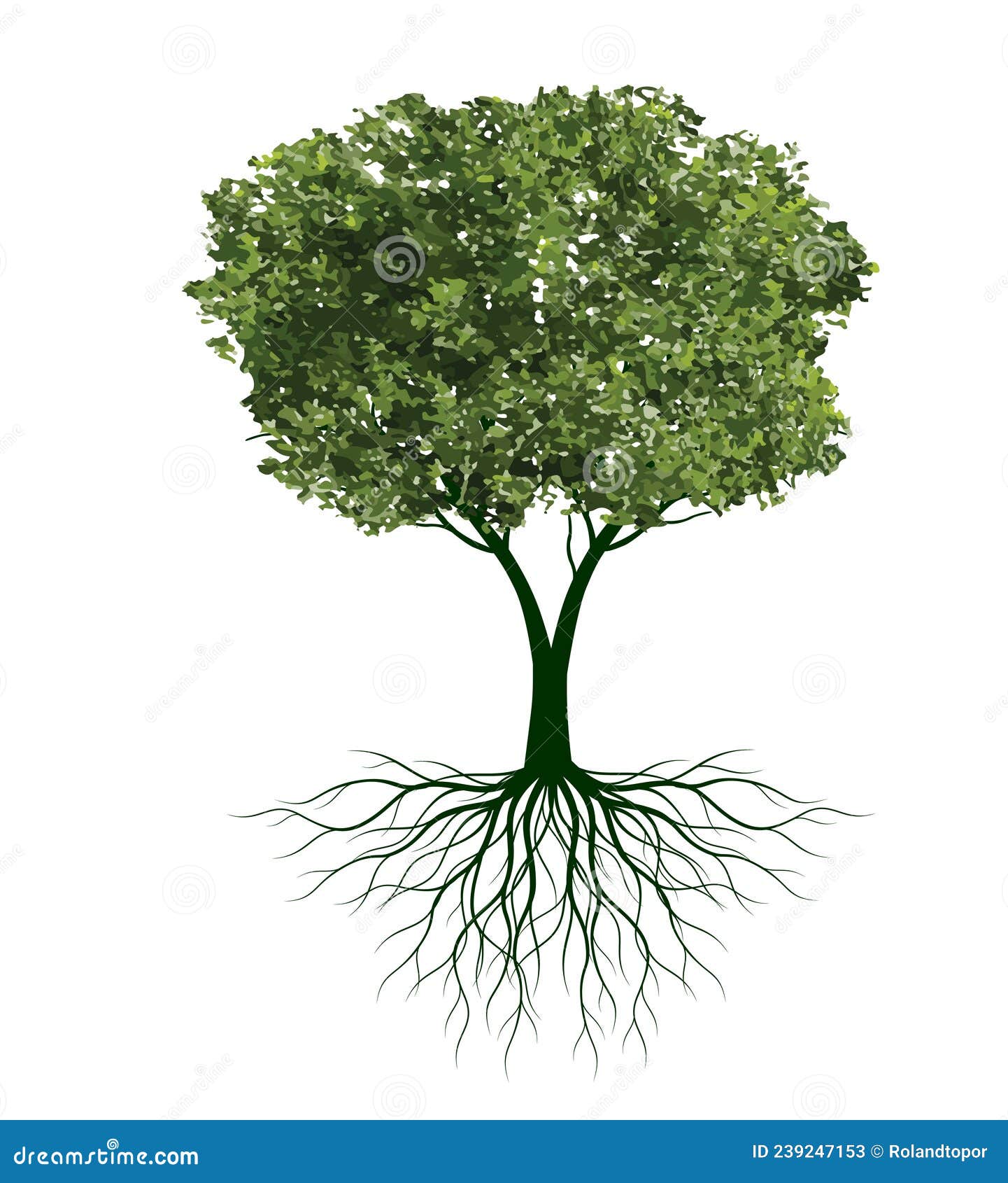 Green Tree with Roots. Vector Outline Illustration. Plant in Garden and ...