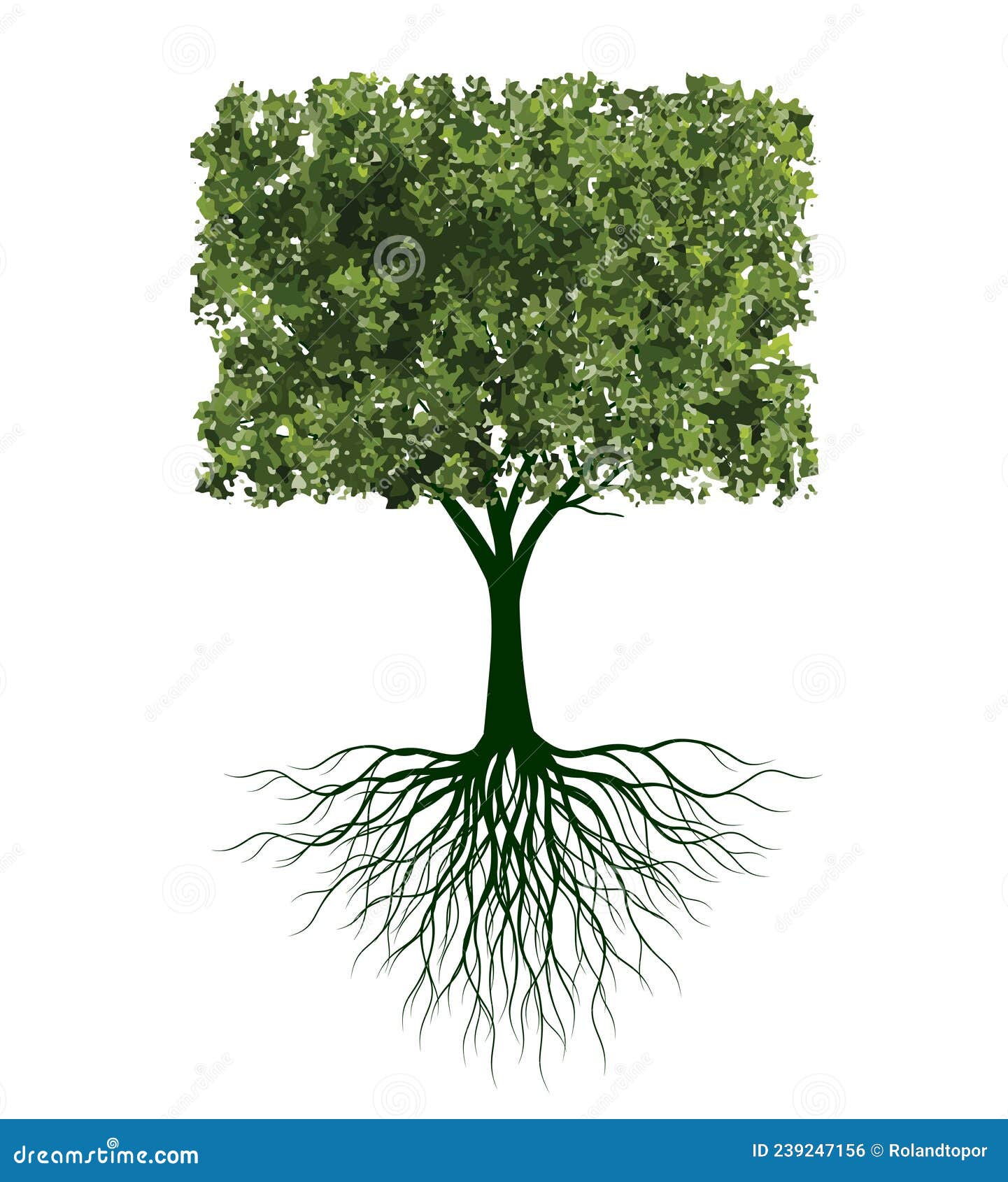 Green Tree with Roots. Vector Outline Illustration. Plant in Garden and ...