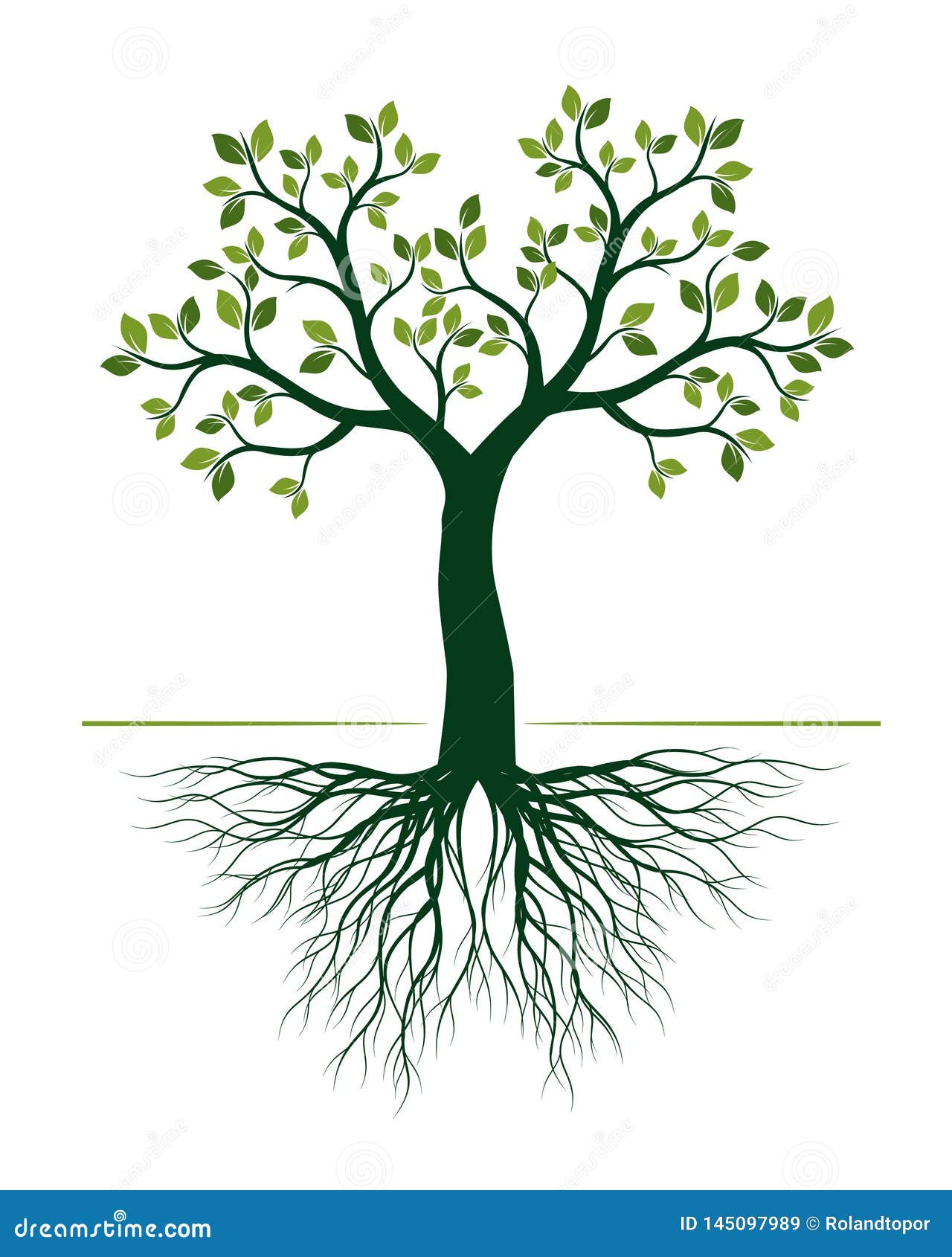 Green Tree with Roots on White Background. Vector Illustration Stock ...