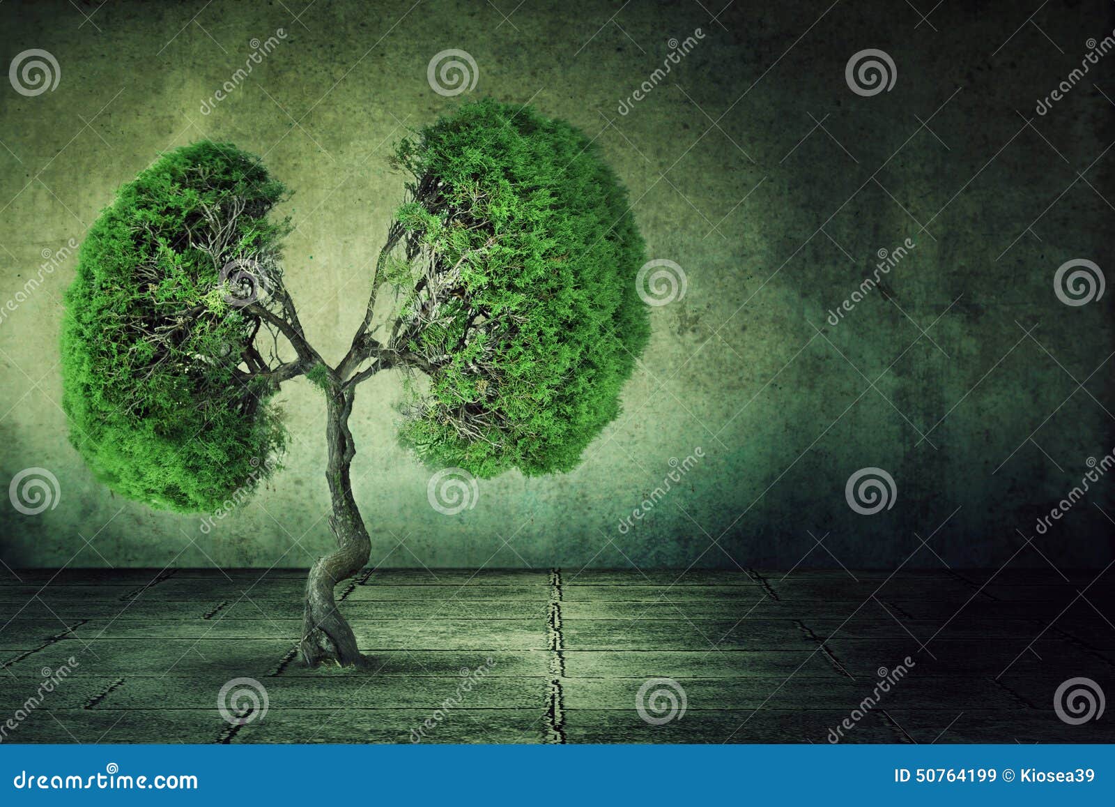 Green Tree Shaped Like Human Lungs Growing from Concrete Floor Stock ...