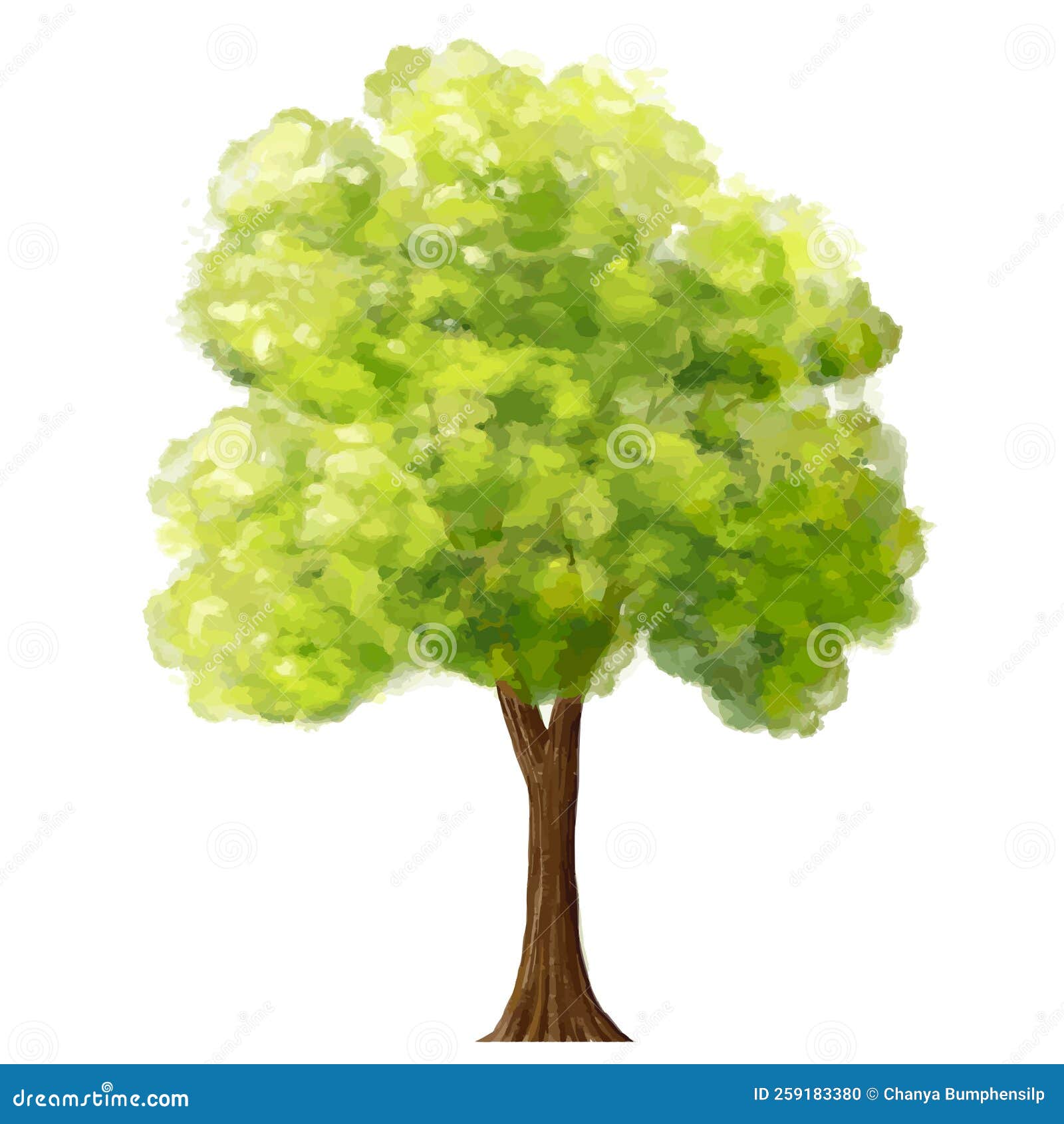 Vector Spring Tree Side View Isolated on White Background for Landscape ...