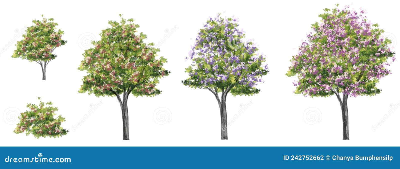 Green Tree Side View Isolated Stock Photo - Image of drawing ...