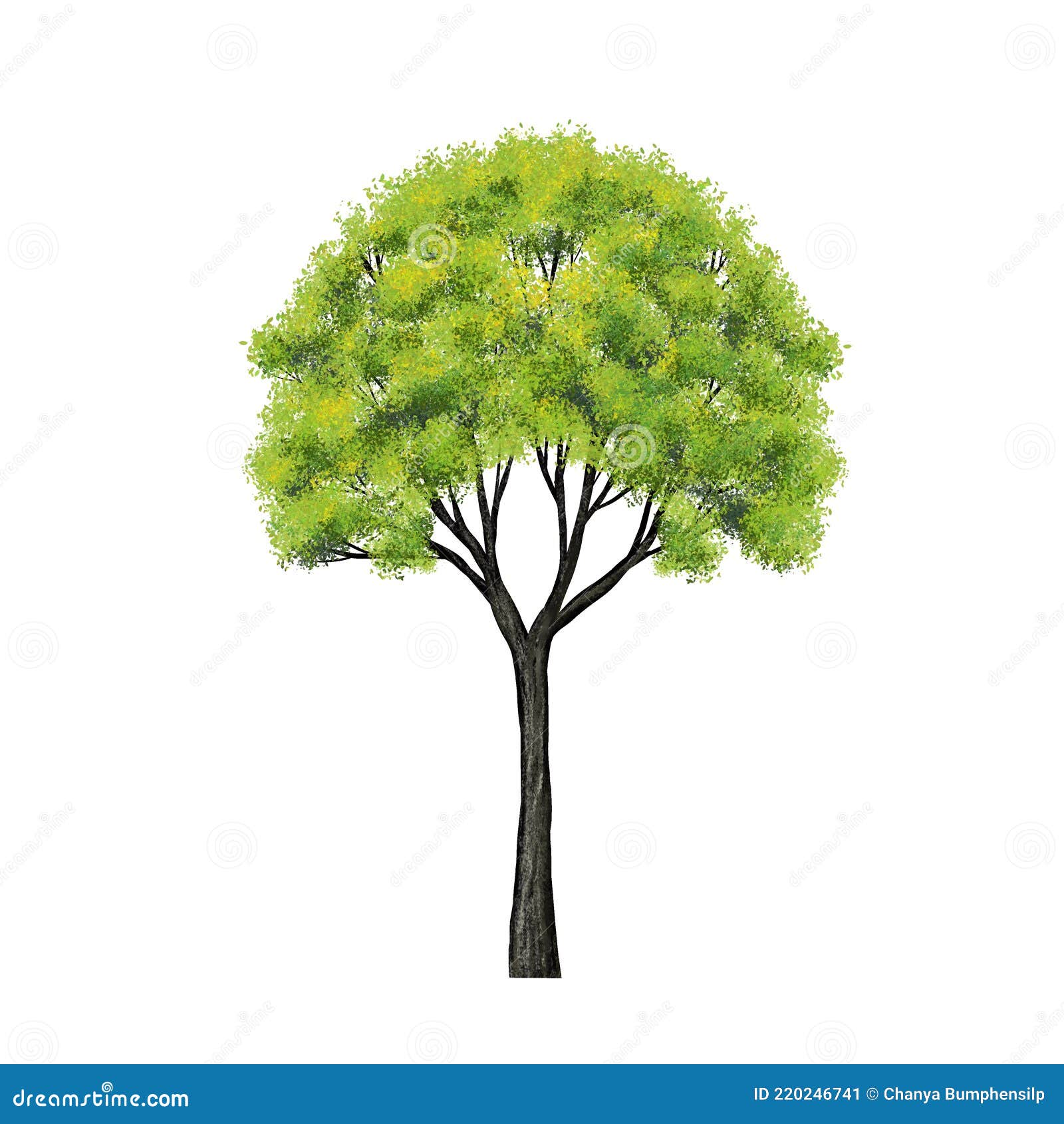 Green Tree Side View Isolated on White Background Stock Illustration ...