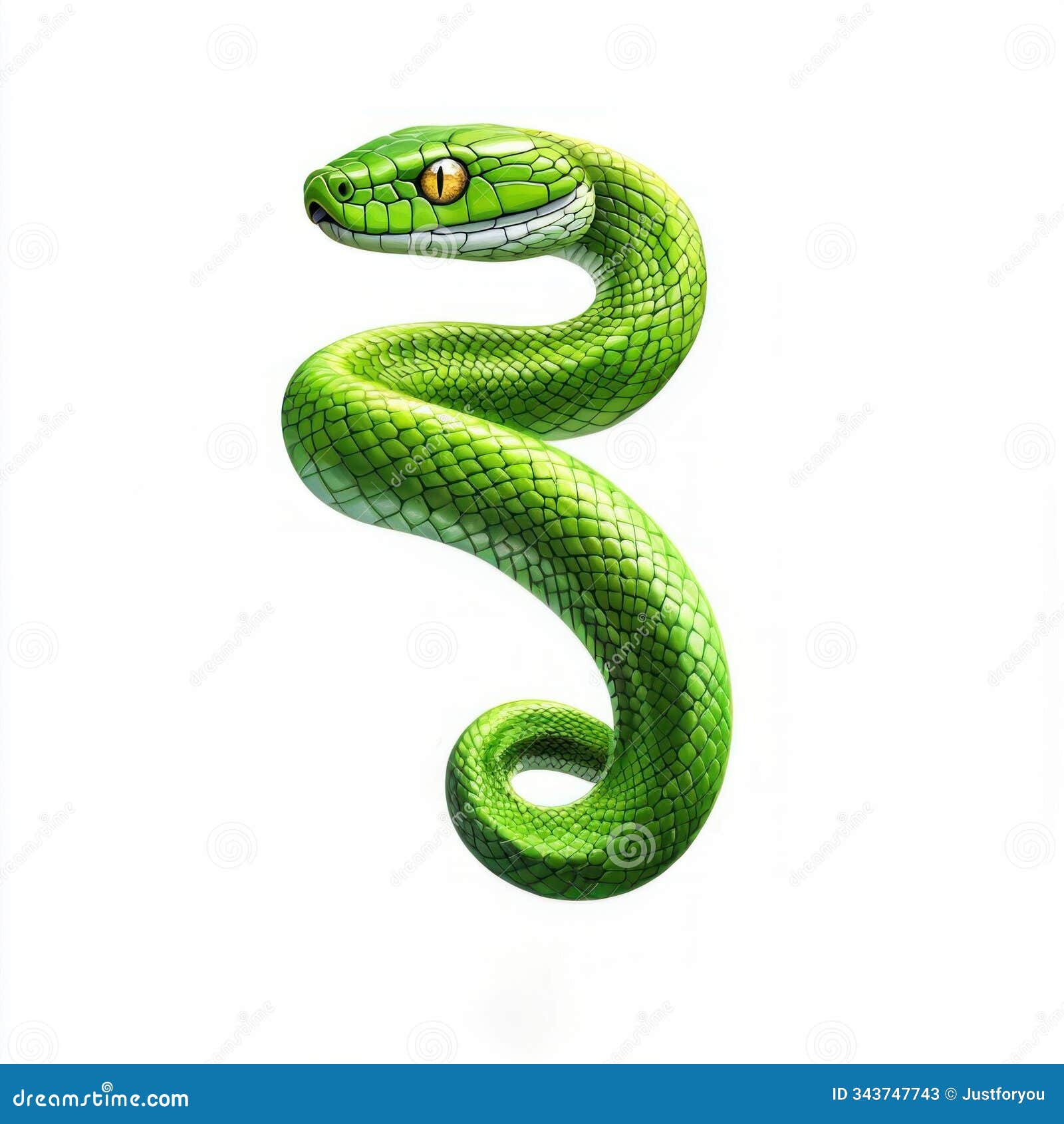 Green Tree Snake on White Background Stock Illustration - Illustration ...