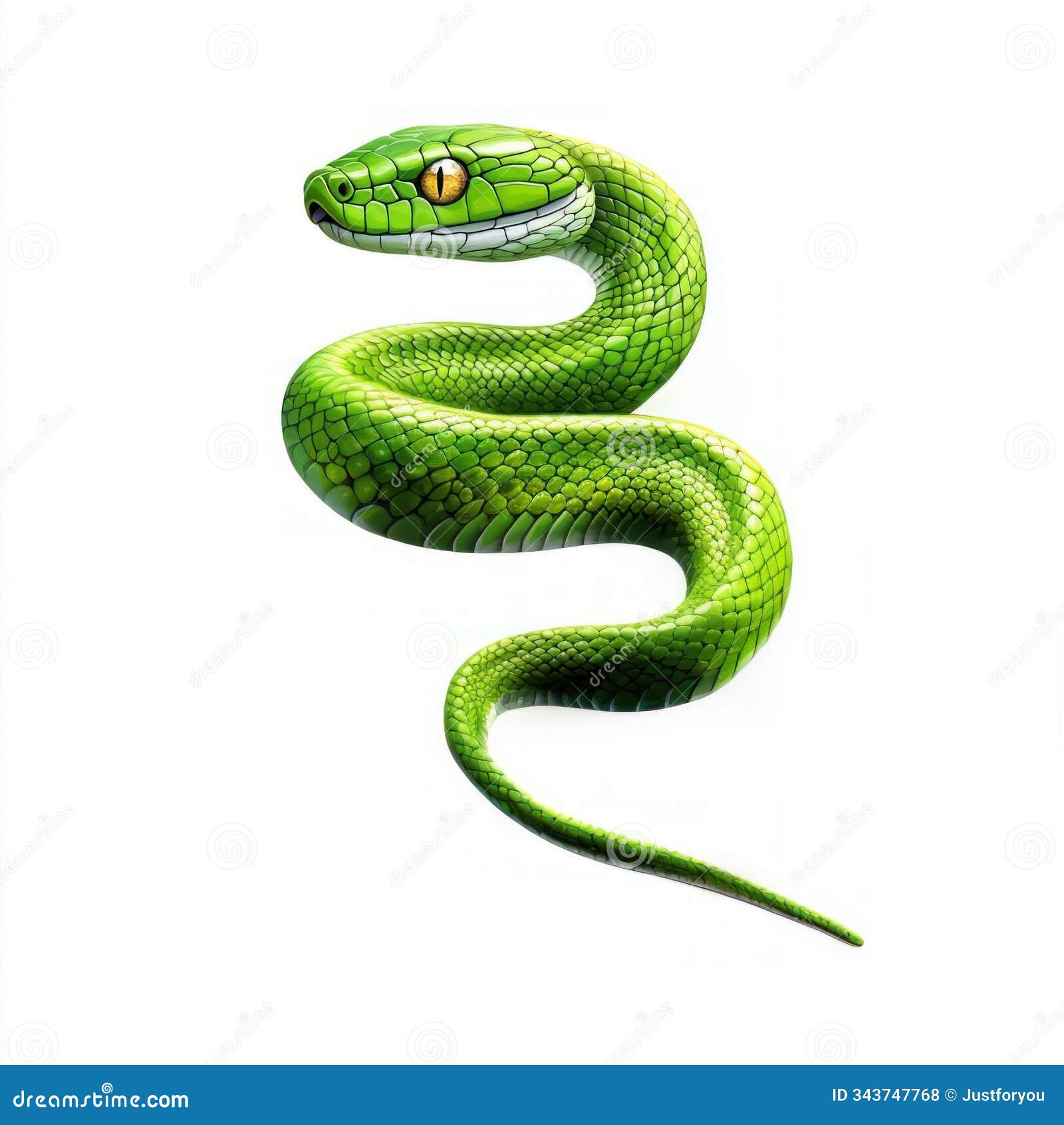 Green Tree Snake on White Background Stock Illustration - Illustration ...
