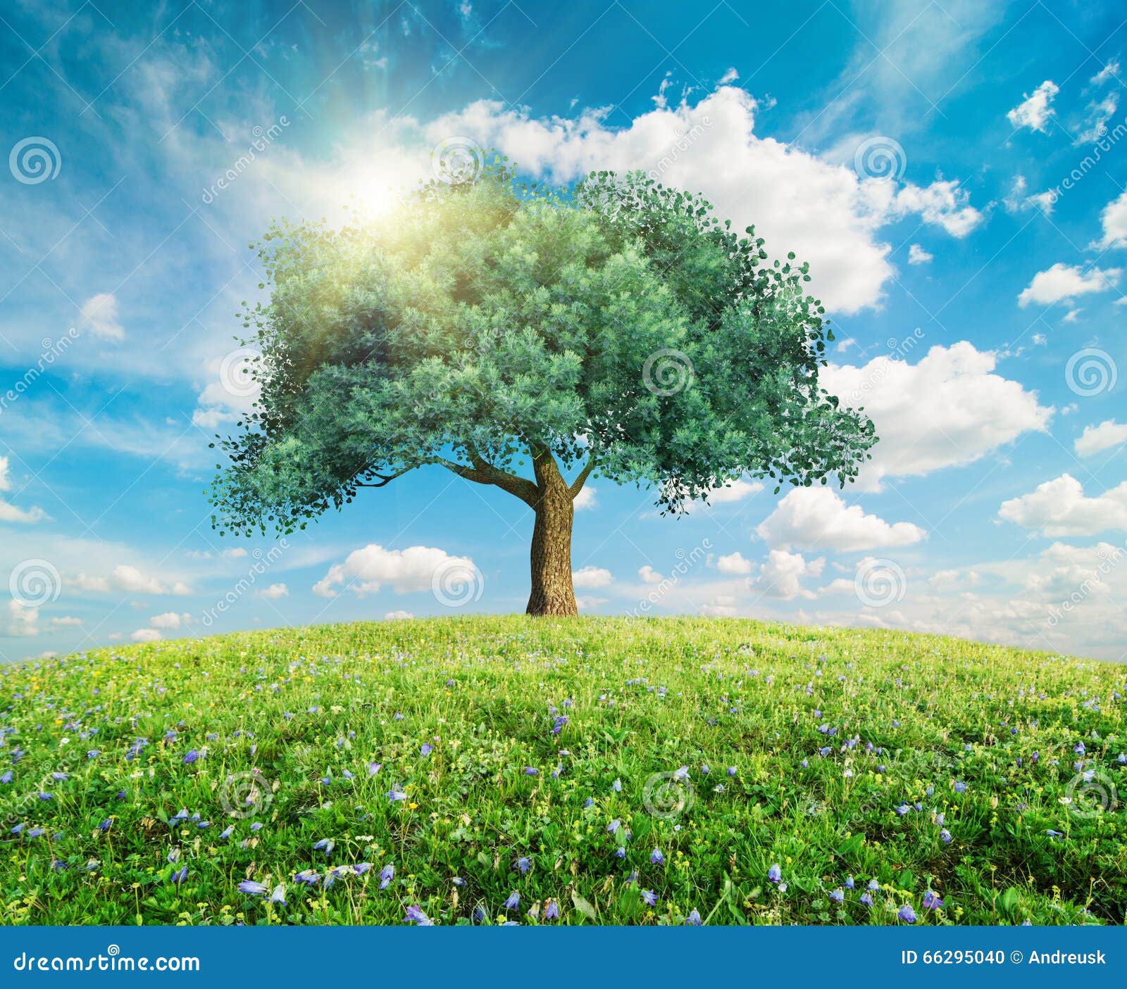 Green Tree Spring Landscape Stock Photo - Image of scenic, time: 66295040