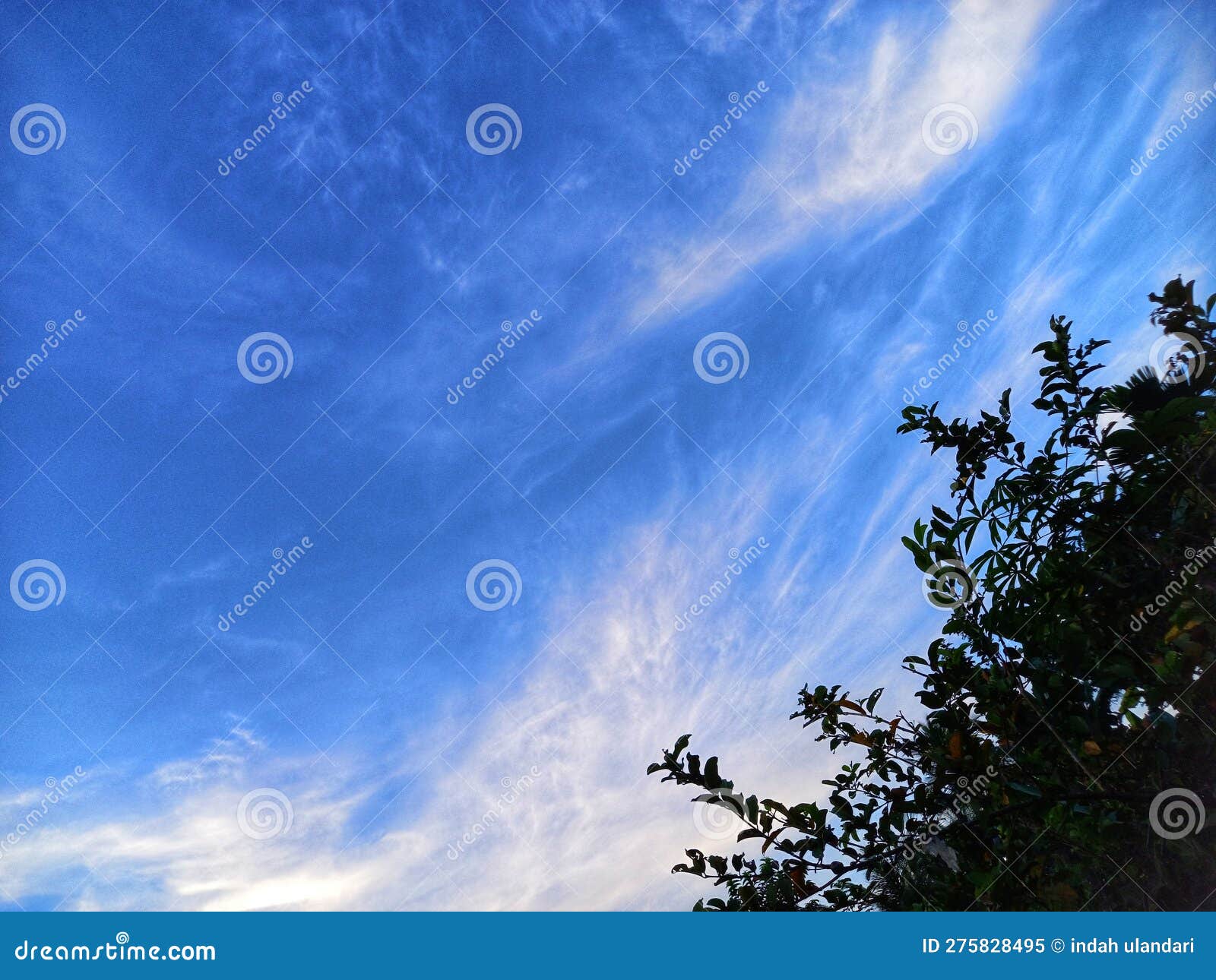 Green Tree Top Line Over Blue Sky and Clouds Background in Summer Stock ...