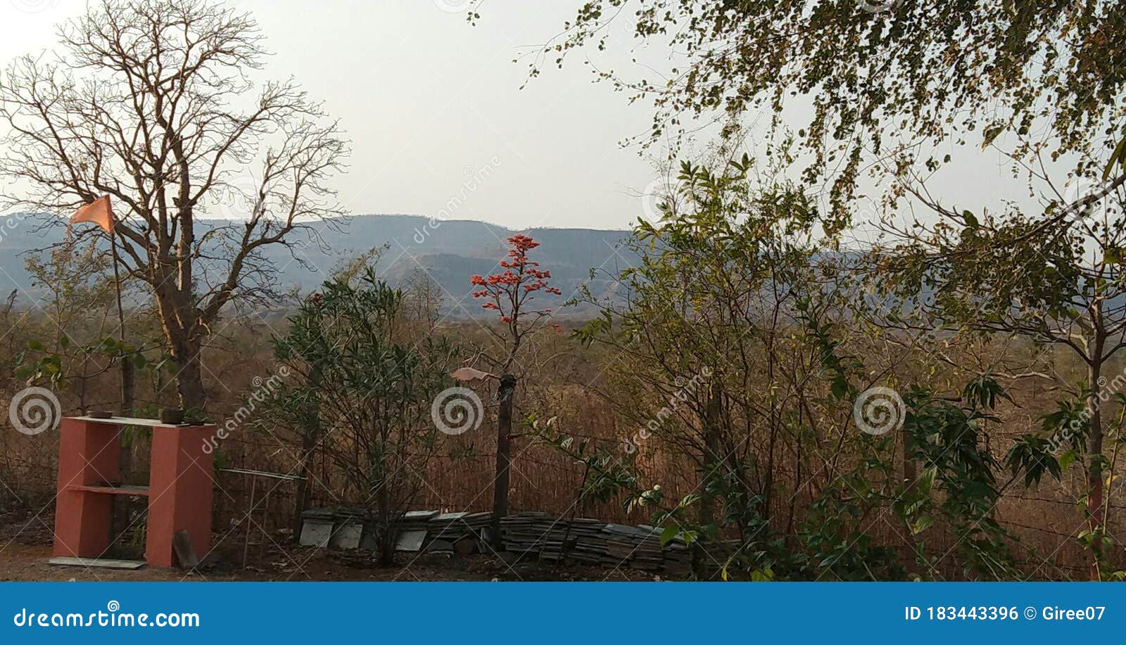 Green Tree Top Line Over Blue Sky and Clouds Background in Summer ...