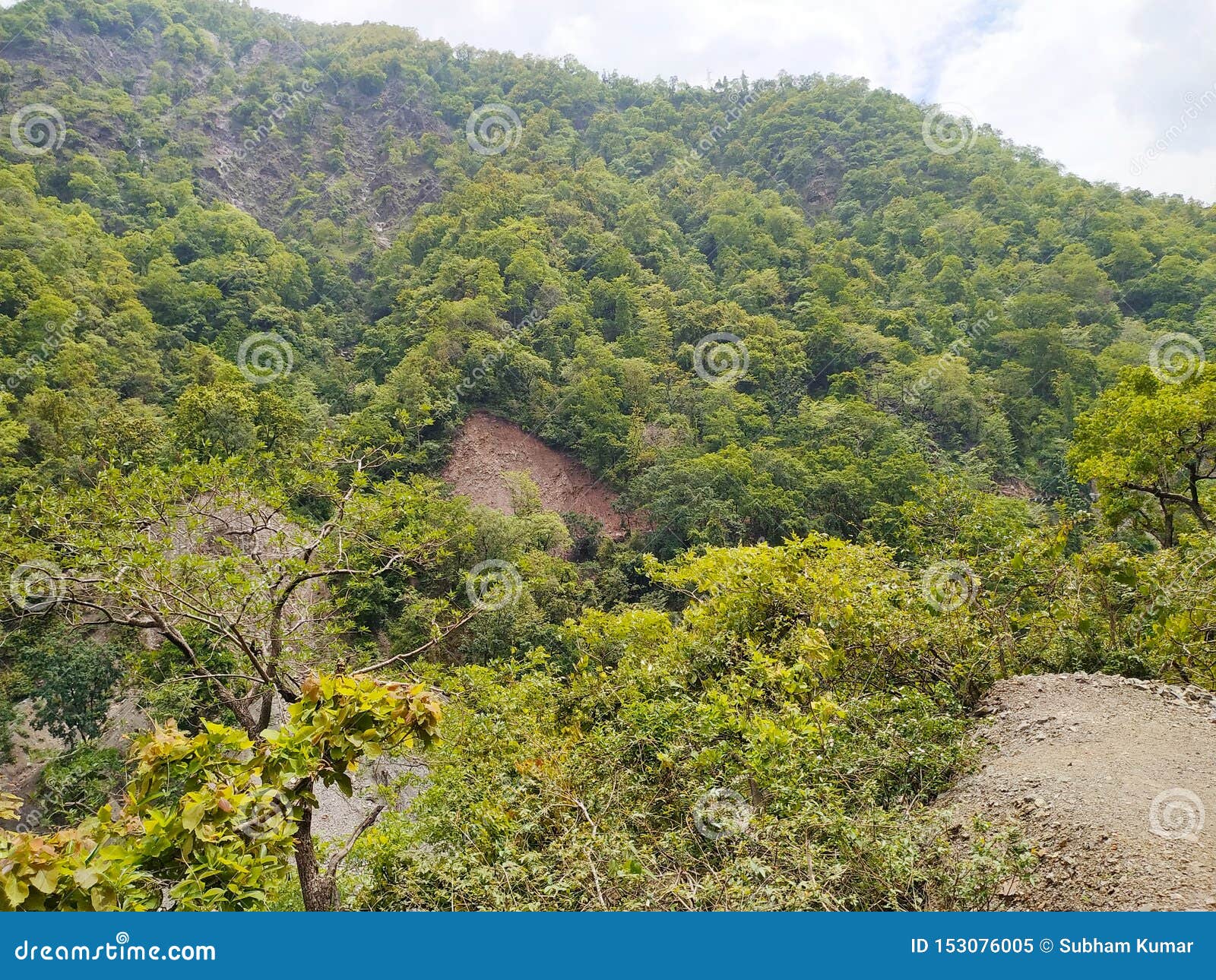Green tree on top mountain stock image. Image of model - 153076005