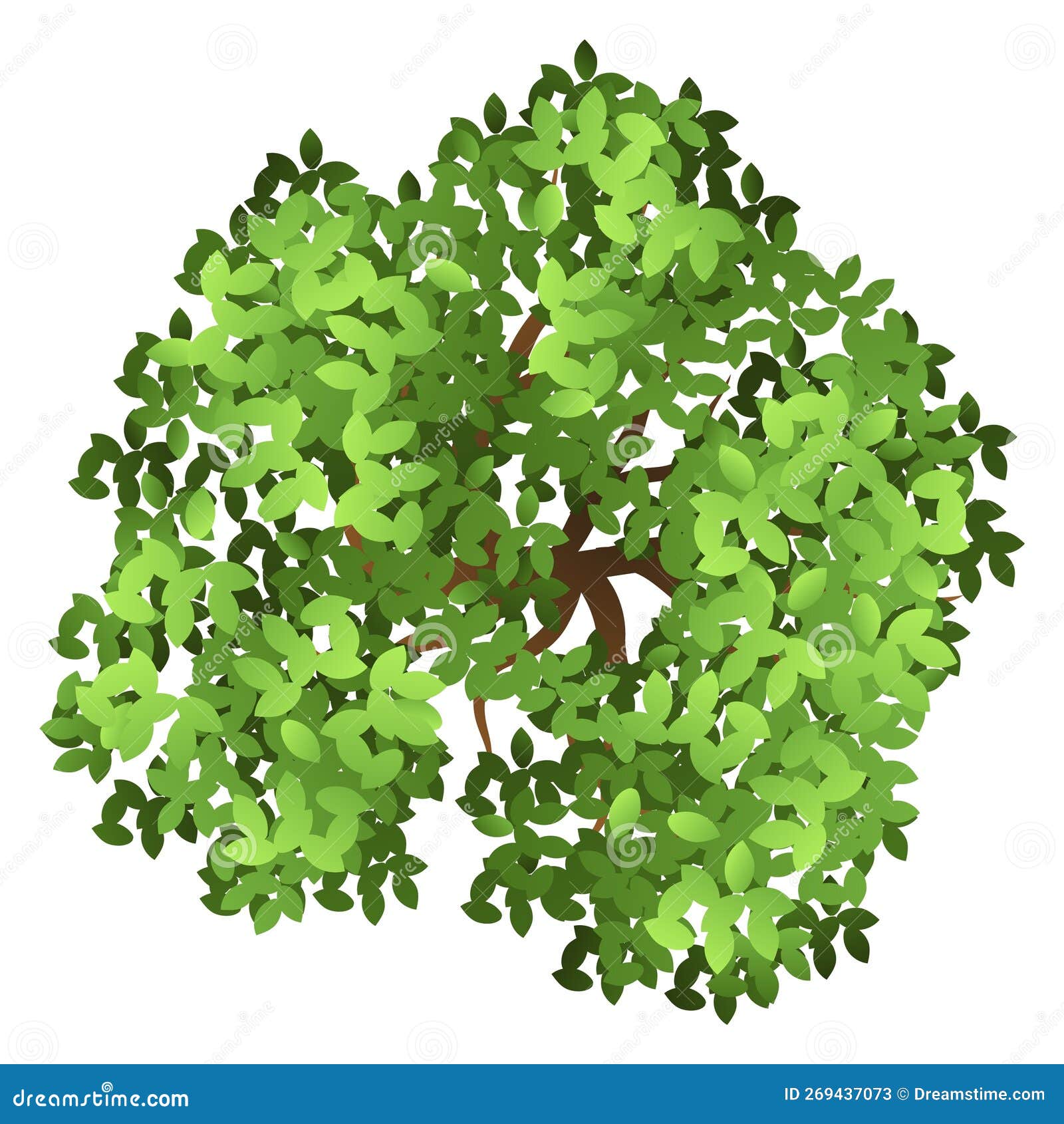 Green Tree Top View. Landscape Design Element Stock Vector ...