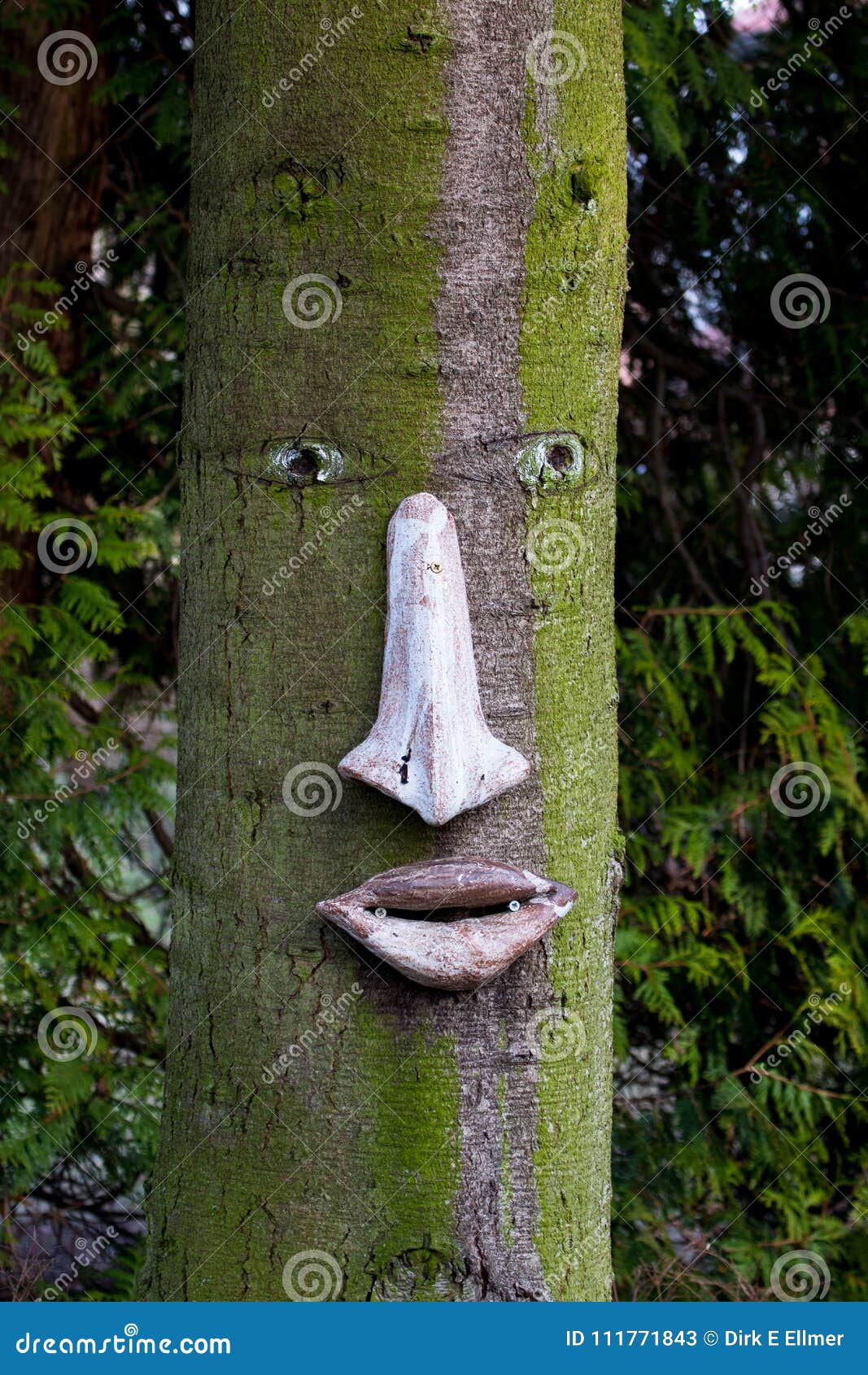 Tree Trunk with a Face on it Stock Image - Image of beauty, small ...
