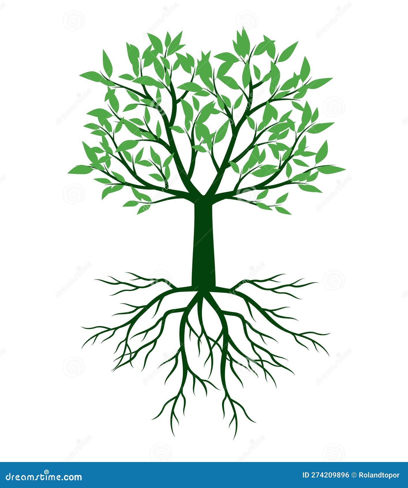 Green Tree with Fresh Leaves and Roots. Vector Outline Illustration ...