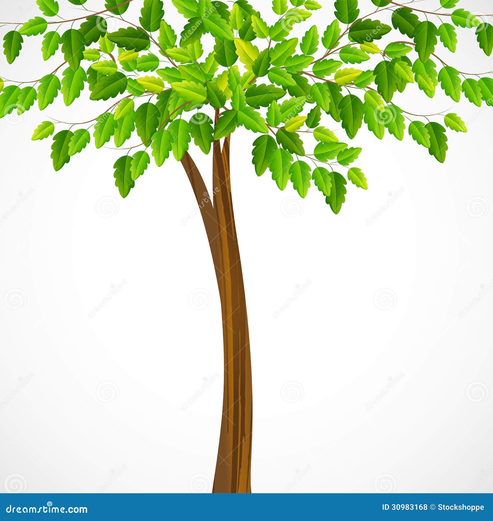 Clipart tall tree