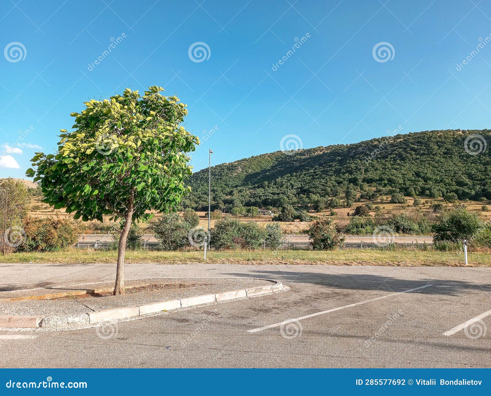 Green Tree and the Voras Hills Stock Photo - Image of scenery, mountain ...