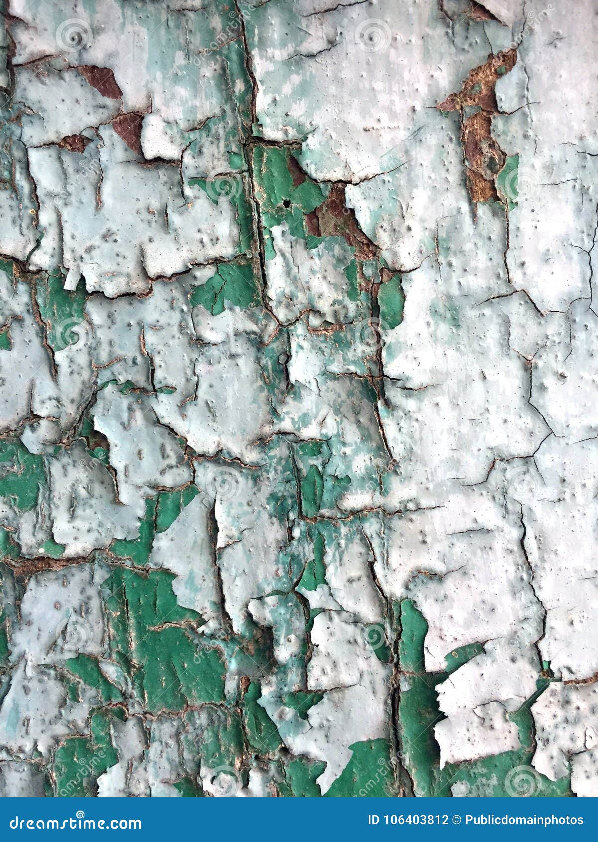 Green, Tree, Wall, Texture Picture. Image: 106403812