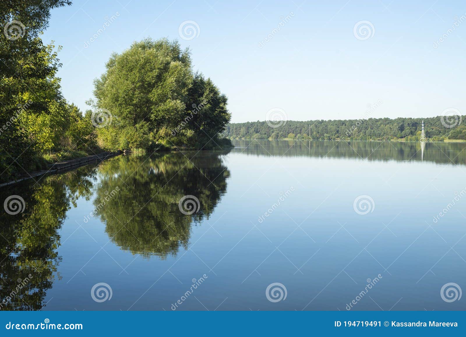 Green Tree on the Water. Nature Background Stock Image - Image of ...