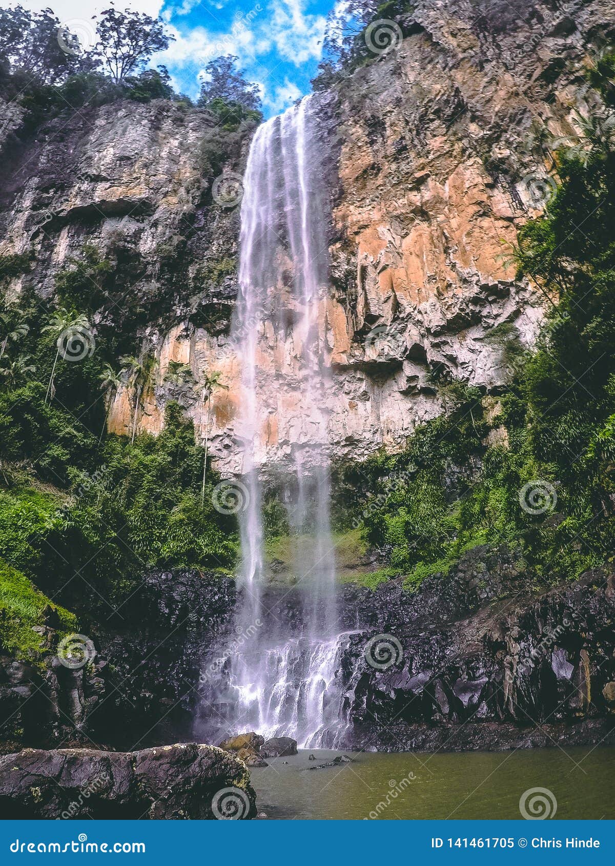 Green tree waterfall 3 stock image. Image of foliage - 141461705