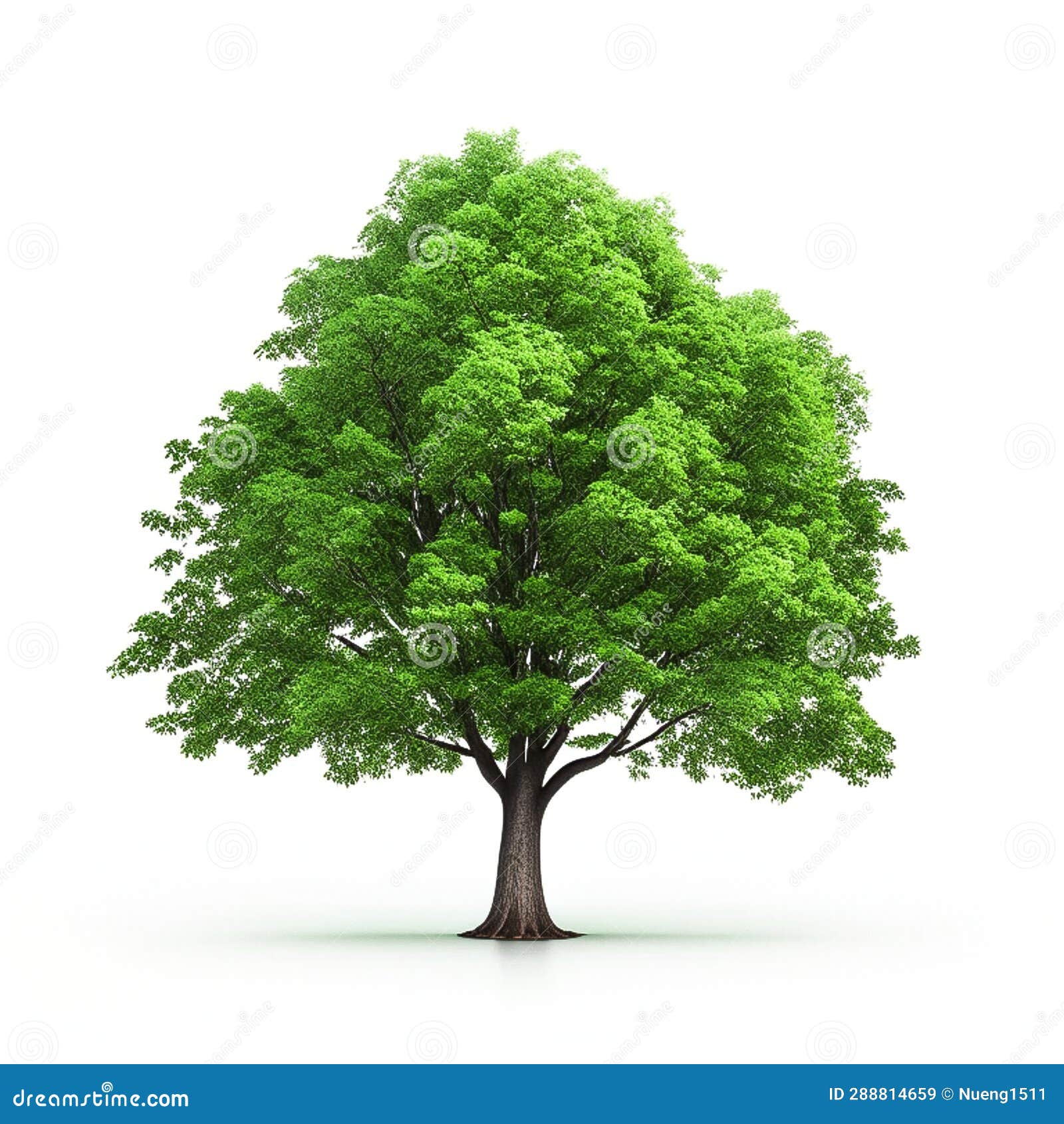 Green Tree on White Background Stock Illustration - Illustration of ...