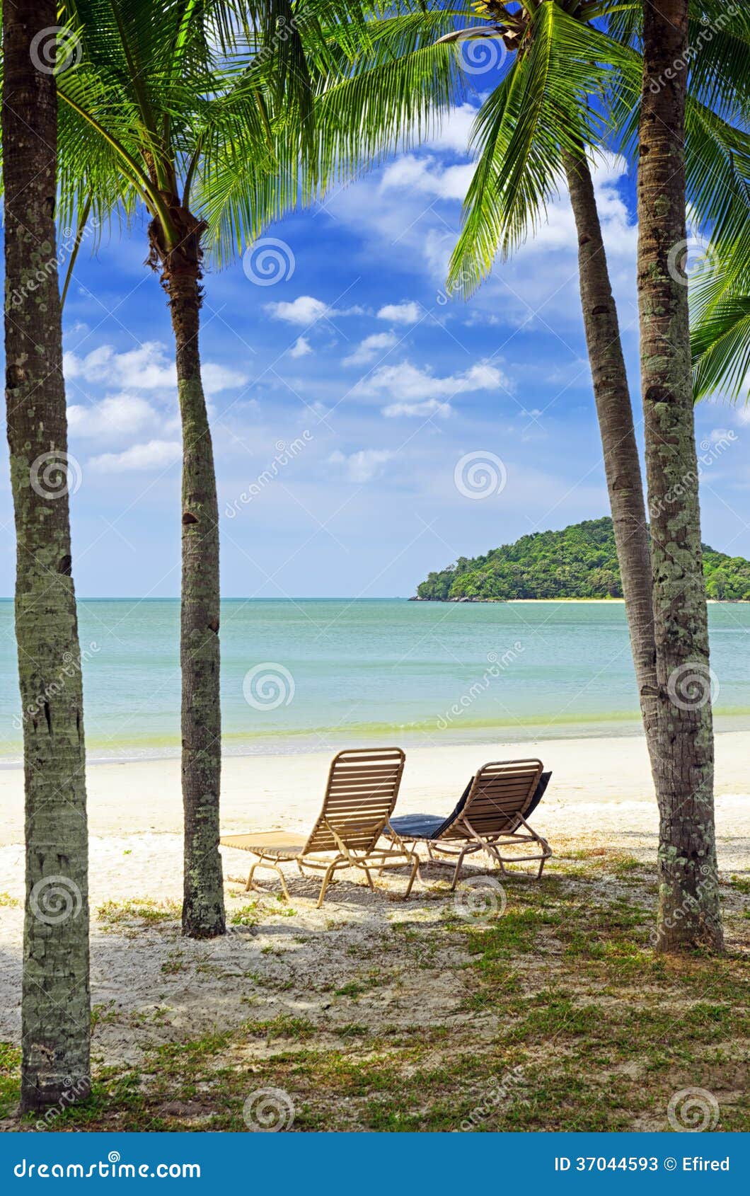 Green Tree on White Sand Beach Stock Image - Image of landscape, relax ...