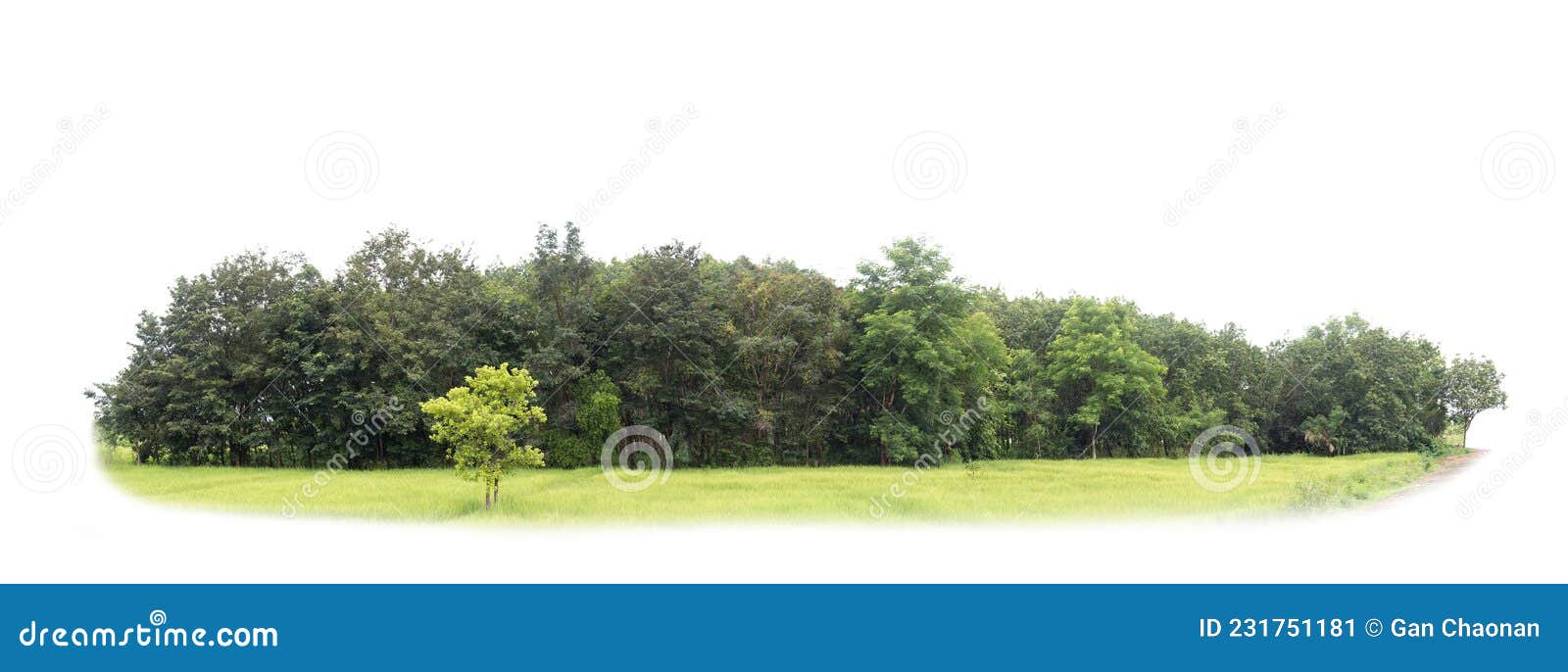Green Treeline Isolated on White Background Stock Image - Image of ...