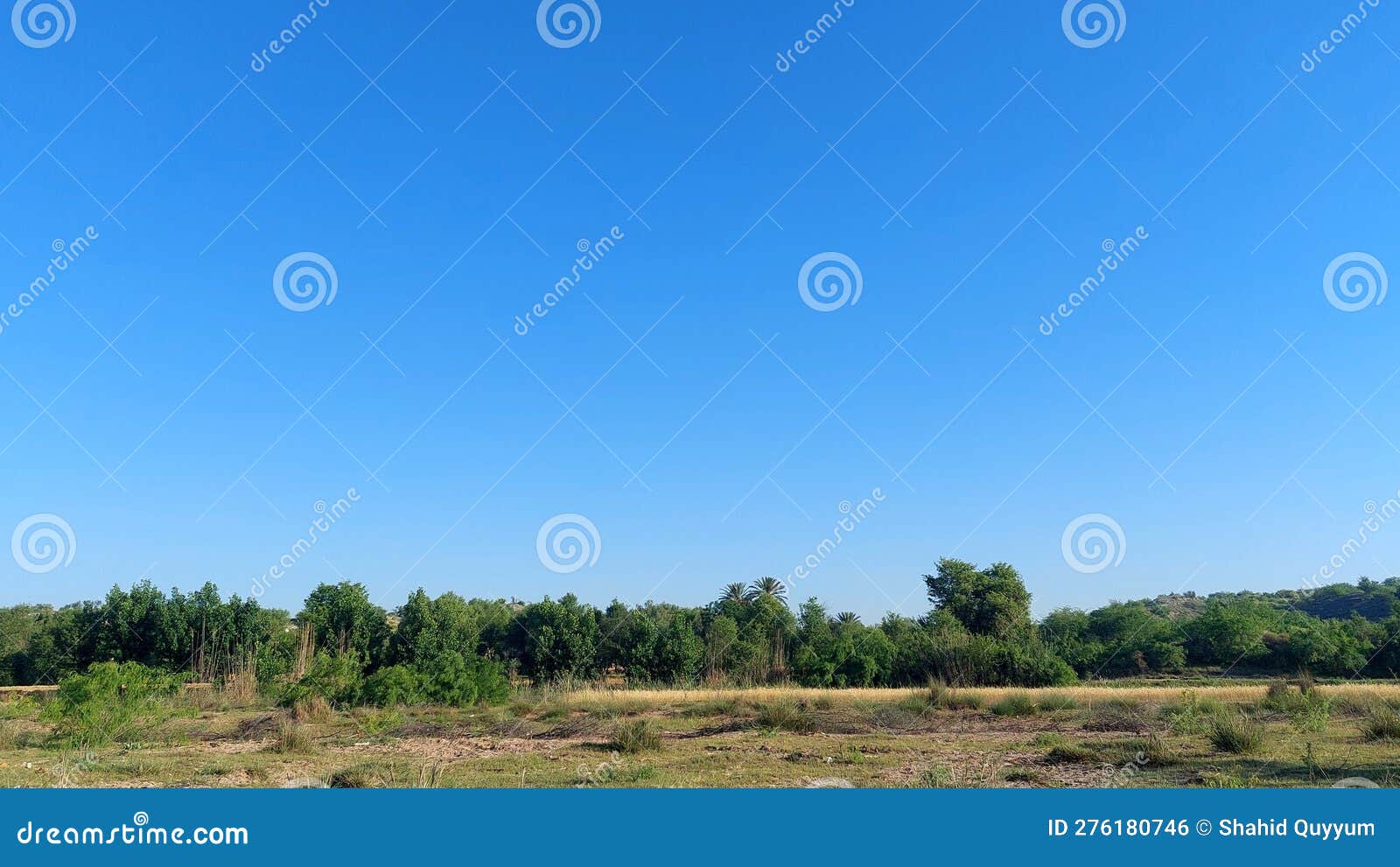 Green Treen Jungle in Punjab Pakistan Stock Photo - Image of cloud ...