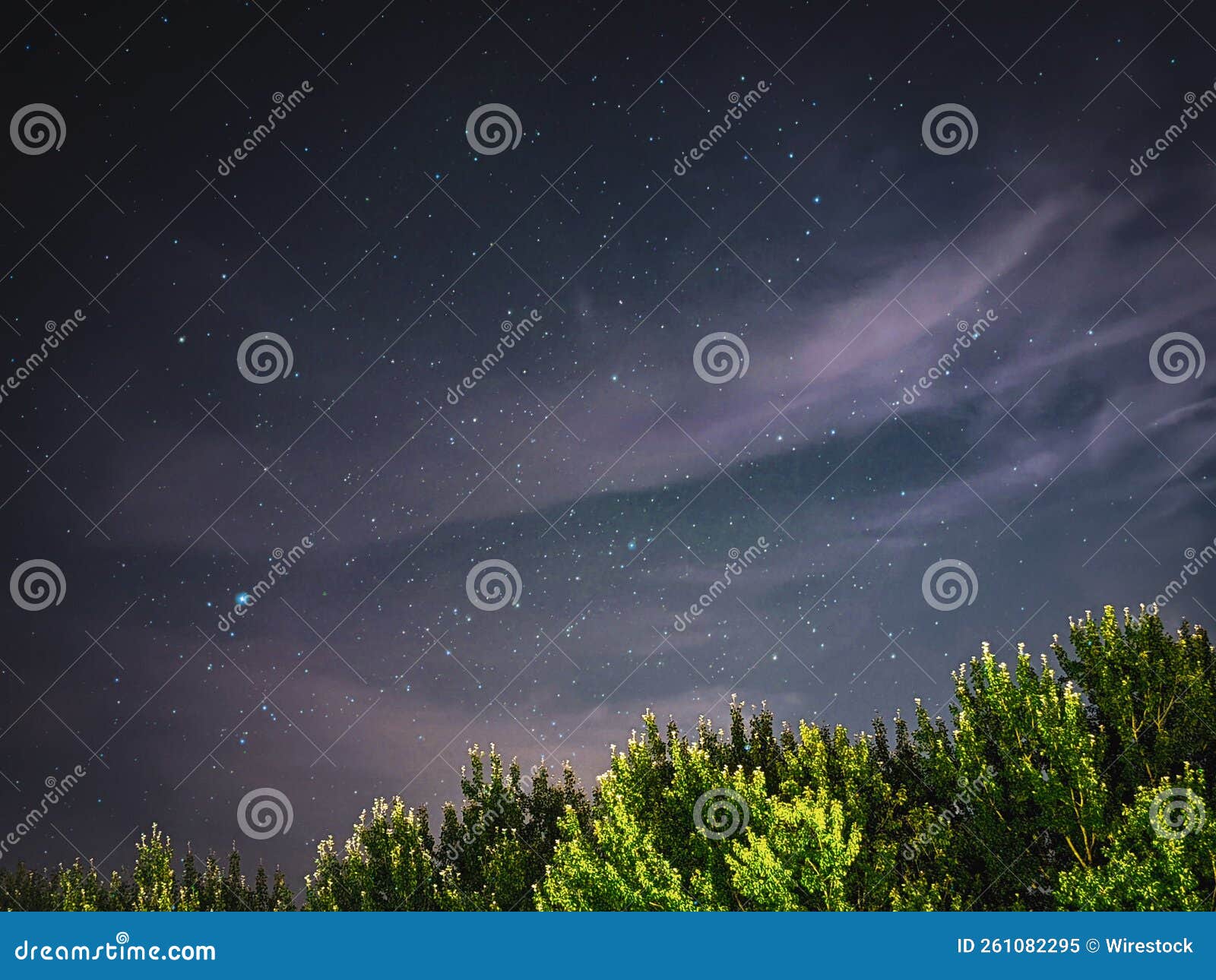 Green Trees Against Starry Sky Stock Image - Image of outdoors, stars ...