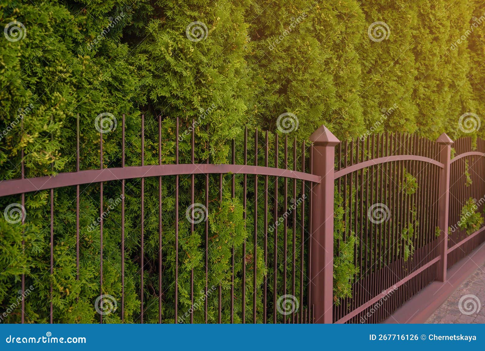 Green Trees Behind Beautiful Iron Fence Outdoors Stock Photo - Image of ...