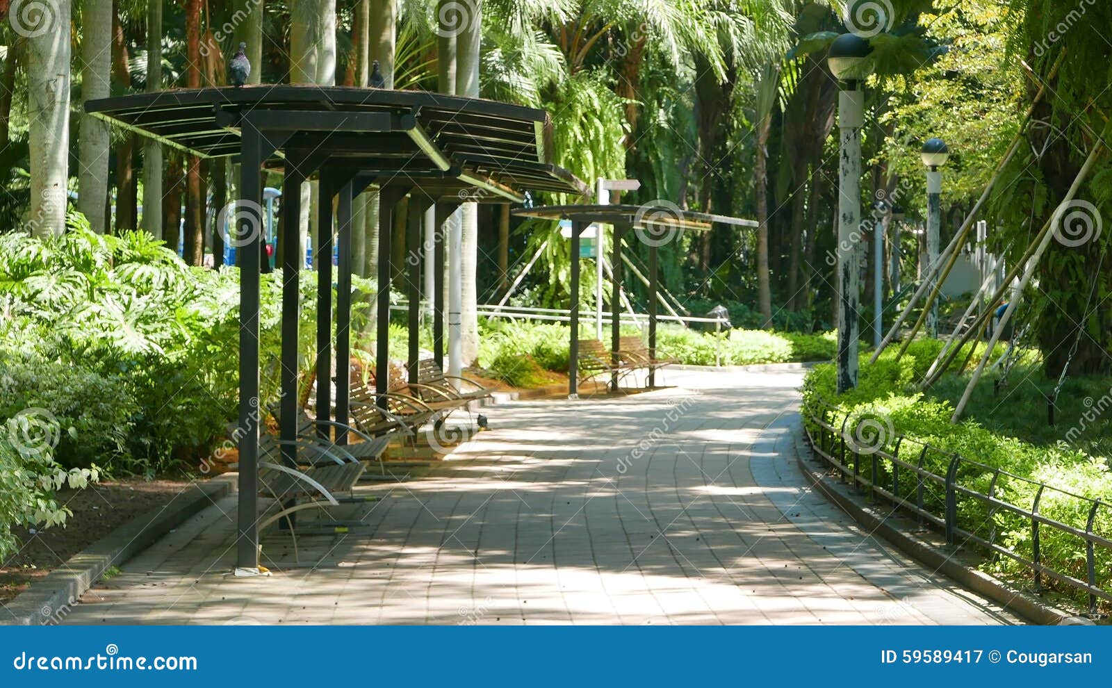 Green Trees, Bench and Footpath Stock Image - Image of plant ...