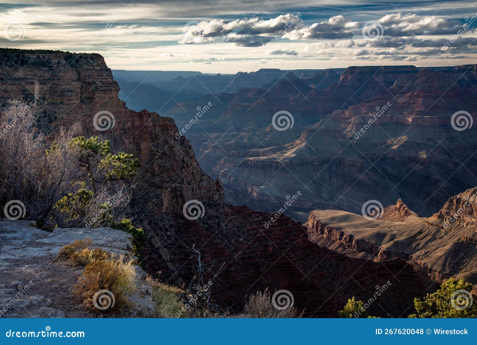 Green Trees and the Big Canyon in the Background Under the Cloudy Sky ...