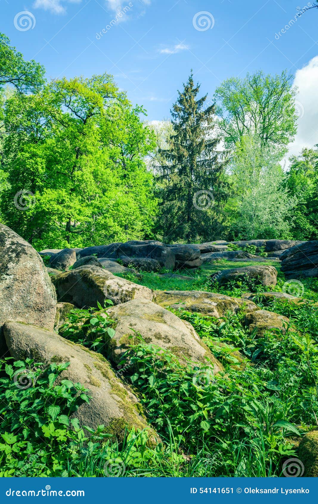 Green Trees with Big Stones Stock Image - Image of tranquil, rock: 54141651