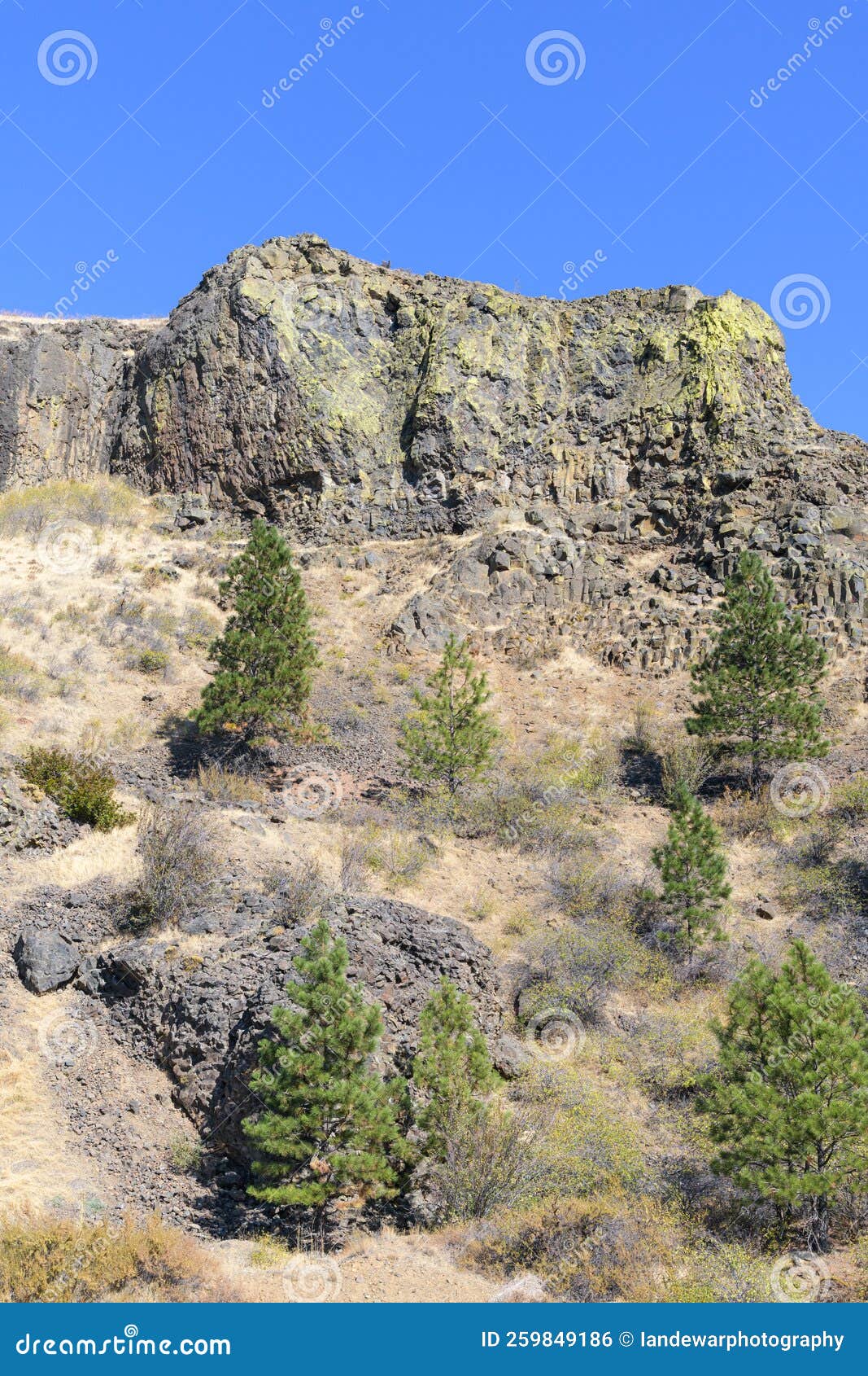 Green Trees Climb Steep Rocky Basalt Cliff on Central Washington Stock ...