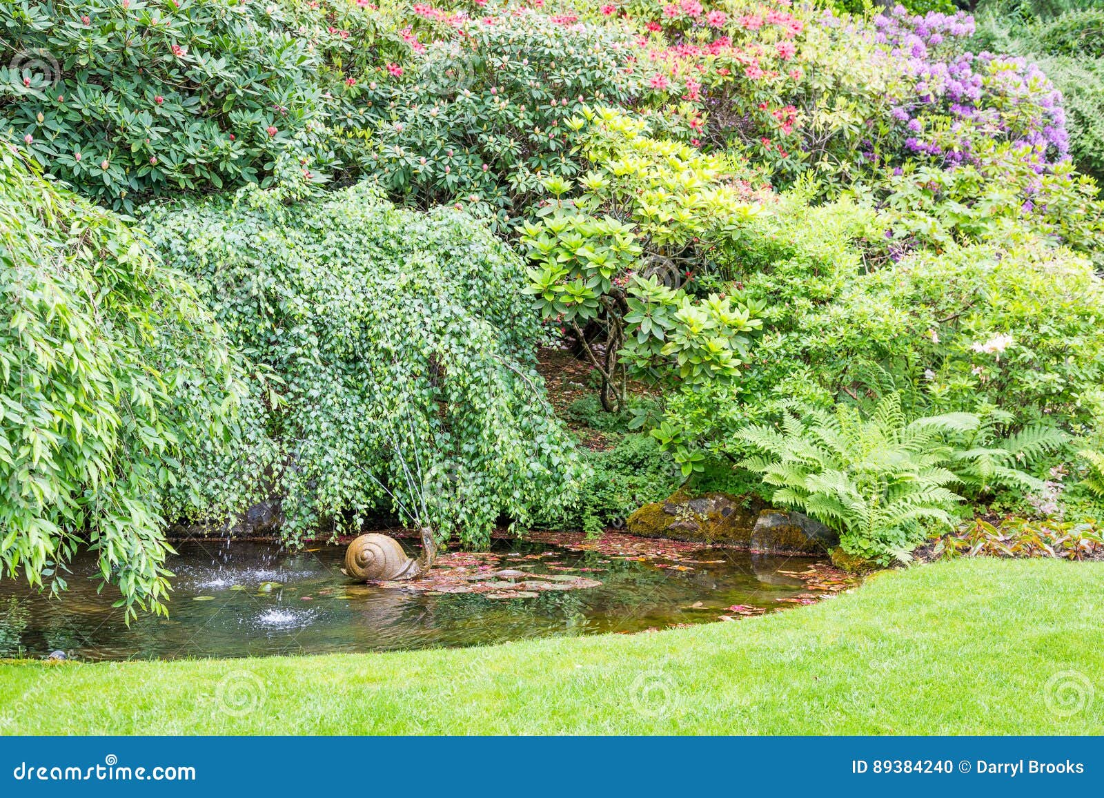 Green Trees and Ferns Around Small Pond Stock Photo - Image of tree ...